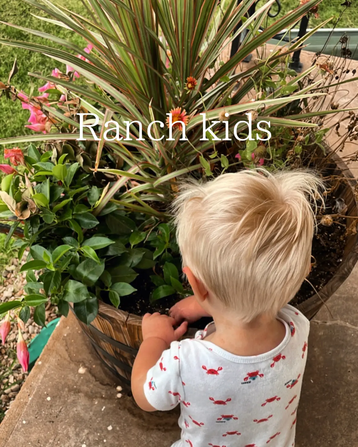 Ranch kids | Gallery posted by Tenia Burnett | Lemon8