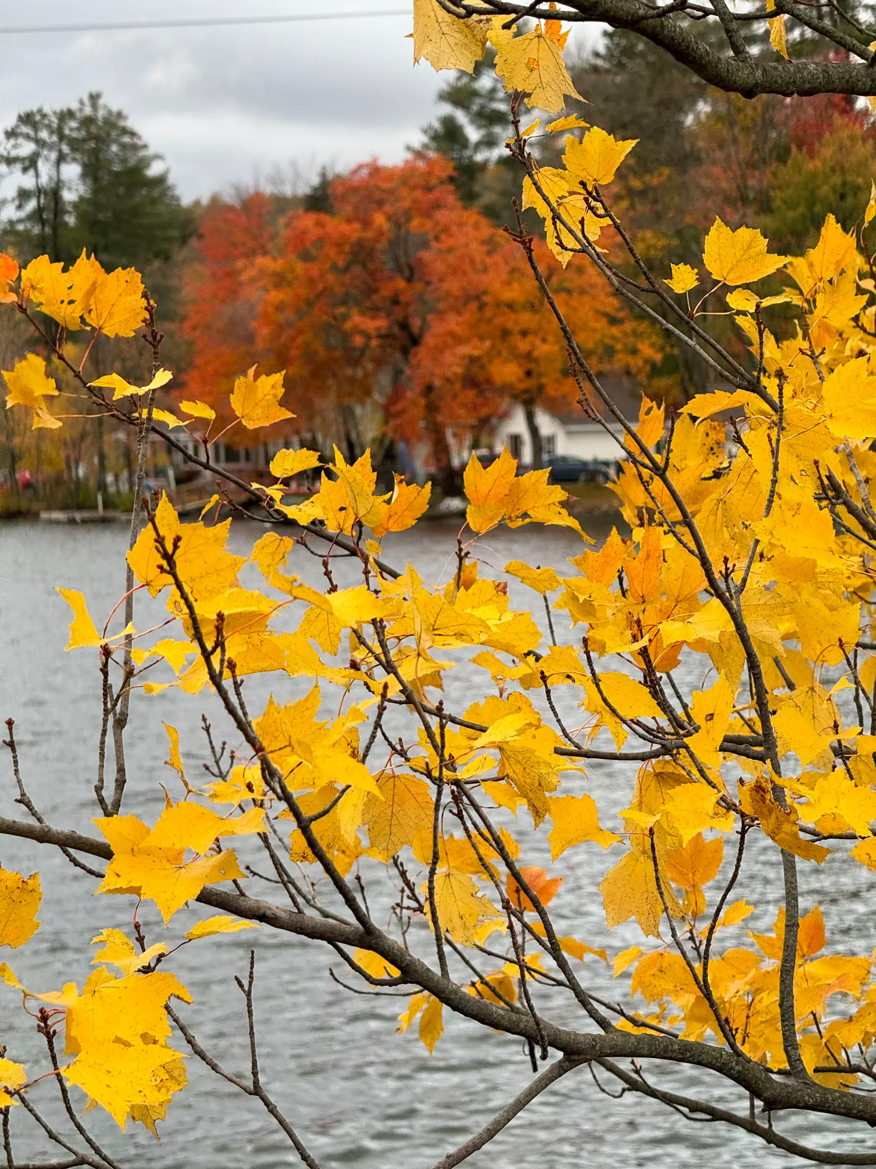 Fall Lake Colors | แกลเลอรีที่โพสต์โดย nature_nd | Lemon8