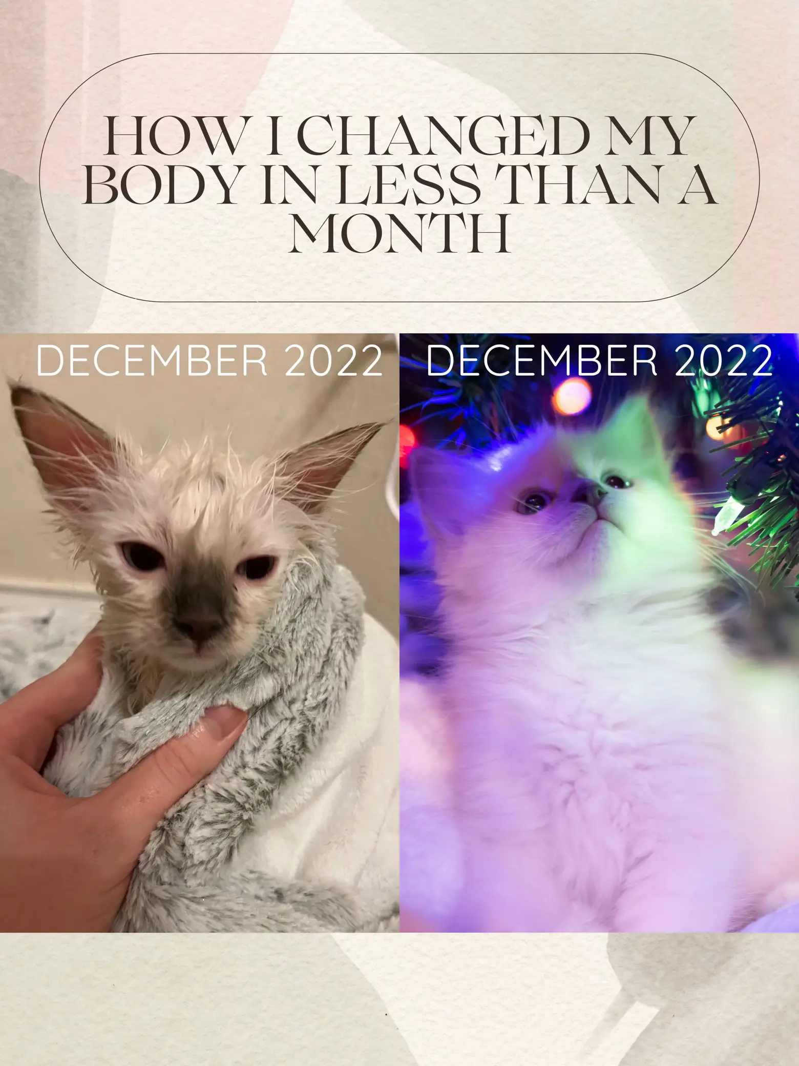 Body Transformation in less than 1 month | Gallery posted by Louie the ...