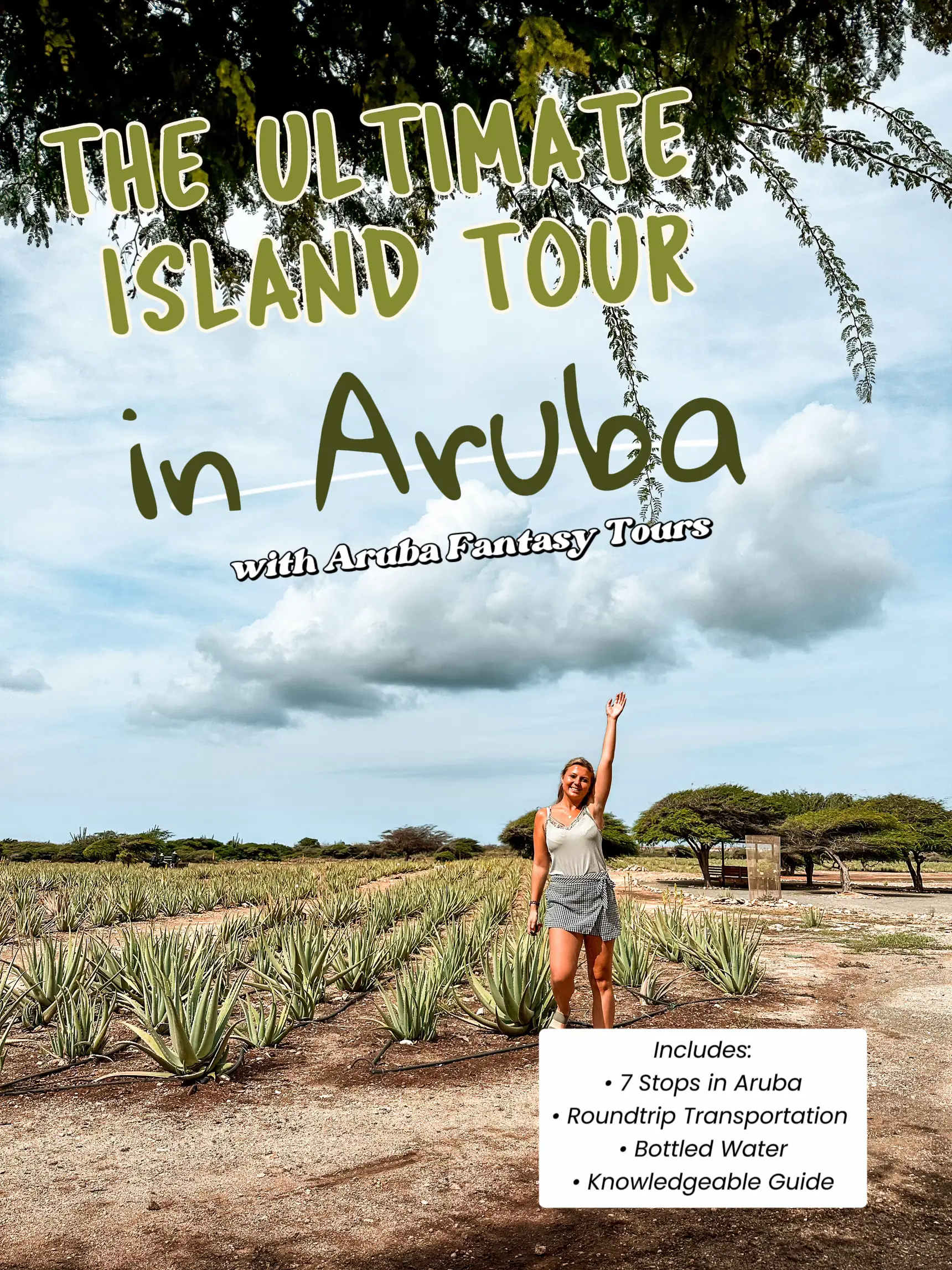 The Ultimate Island Tour In Aruba 🇦🇼 | Gallery posted by Solotravel | Lemon8