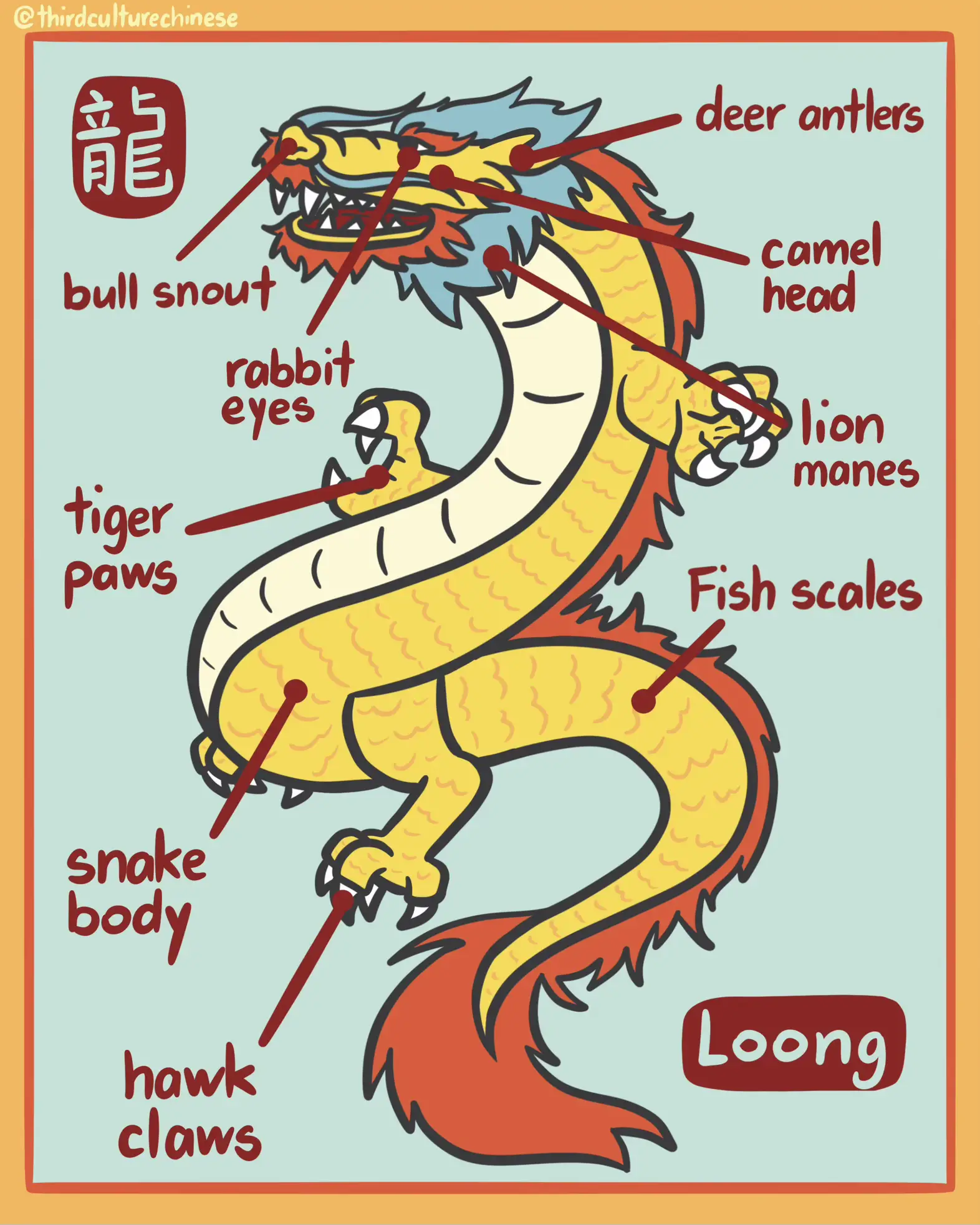 Year of the dragon(s) | Gallery posted by 🪁 YùnYún 韵昀 | Lemon8