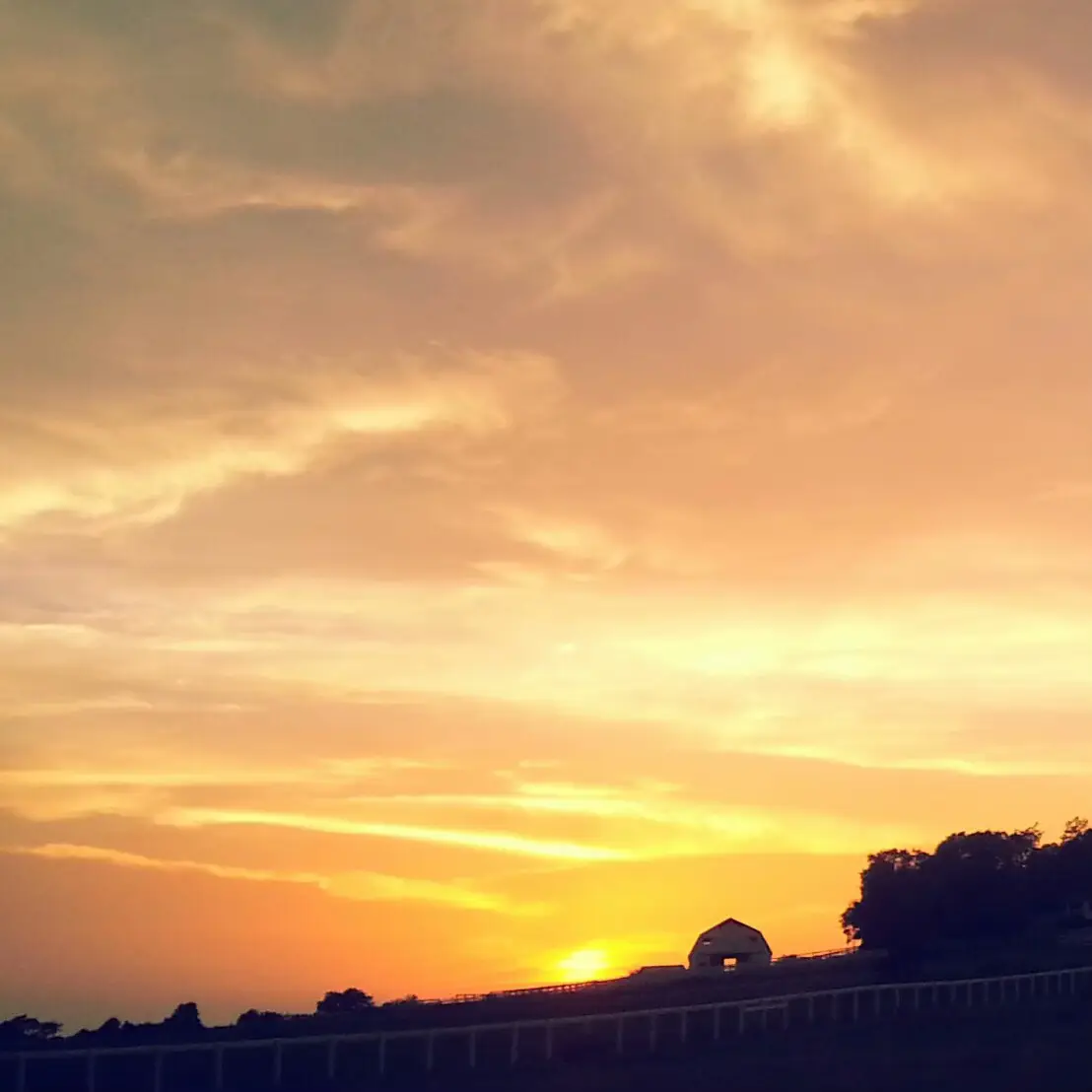 Sunset in Sumner County | Gallery posted by Jess | Lemon8