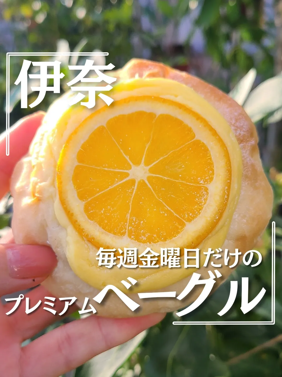 ซื้อเฉพาะวันศุกร์! เบเกิลพรีเมี่ยม | วิดีโอที่เผยแพร่โดย miho_delicious | Lemon8