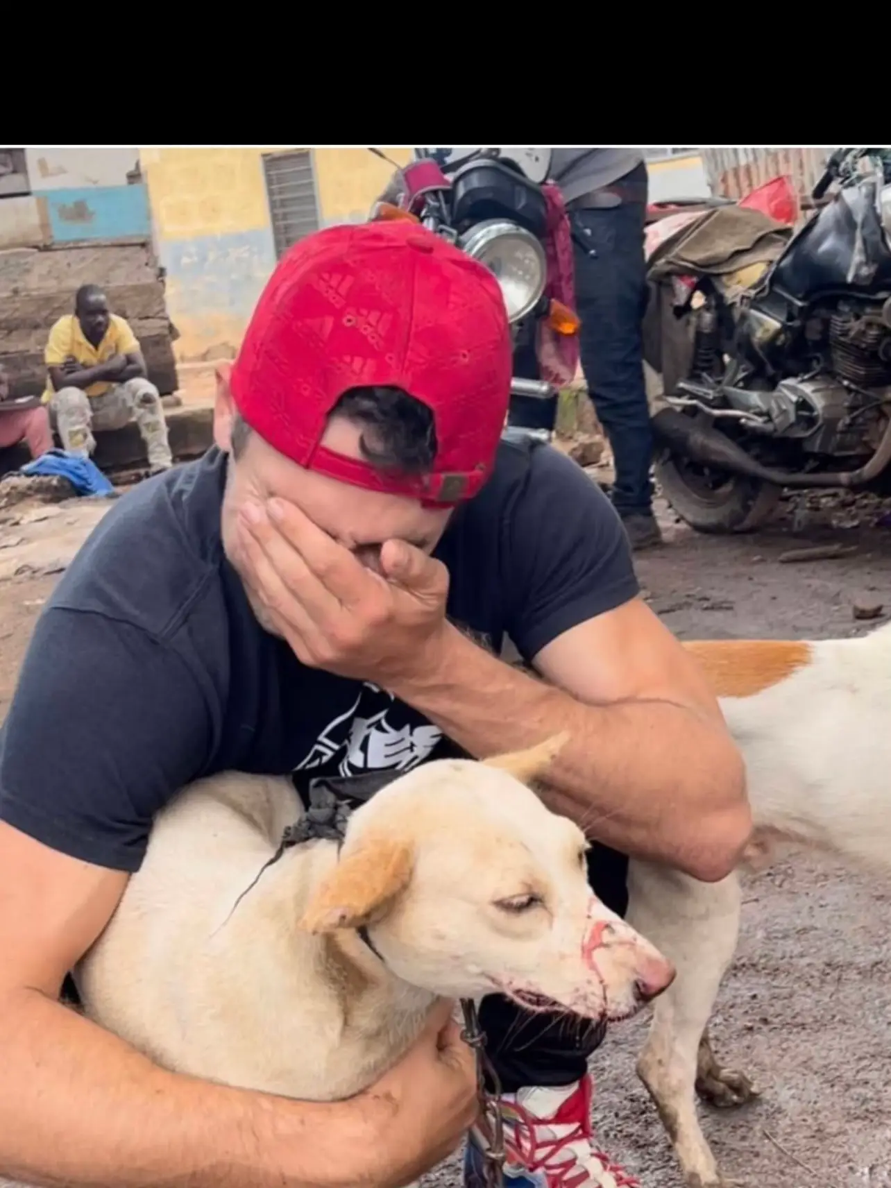 GHANA DOG MEAT TRADE AFRICA DOG SAVIOR RESCUE | Video published by DOG ...