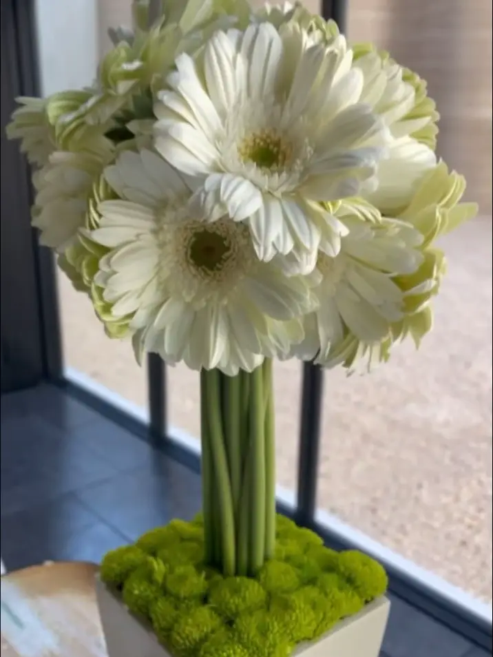 It’s a Daisy 🍋🌼🍋🌼🍋🌼 | Video published by Jun_pinon | Lemon8