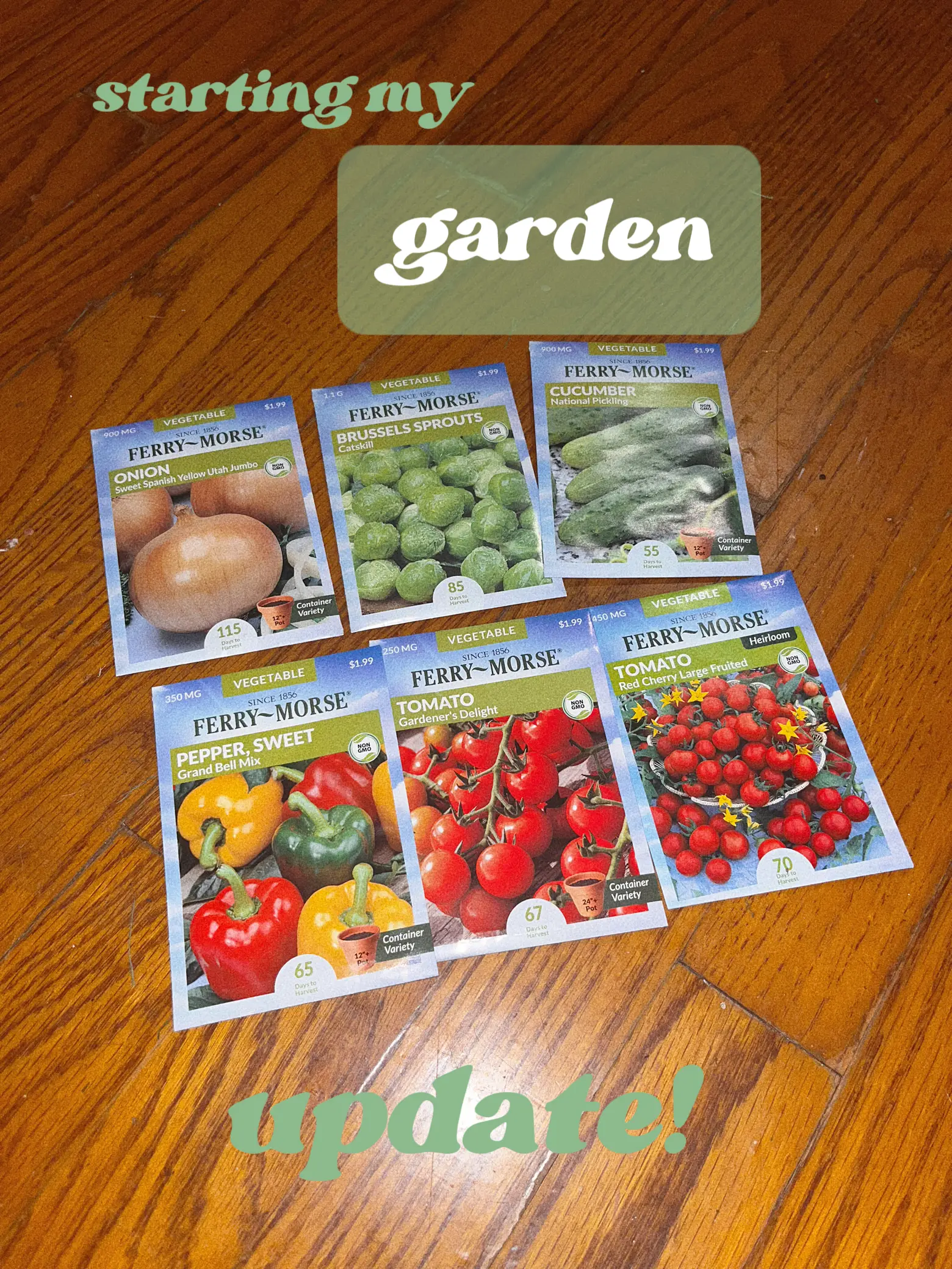 starting my garden update | Gallery posted by Ariel Rodgers | Lemon8