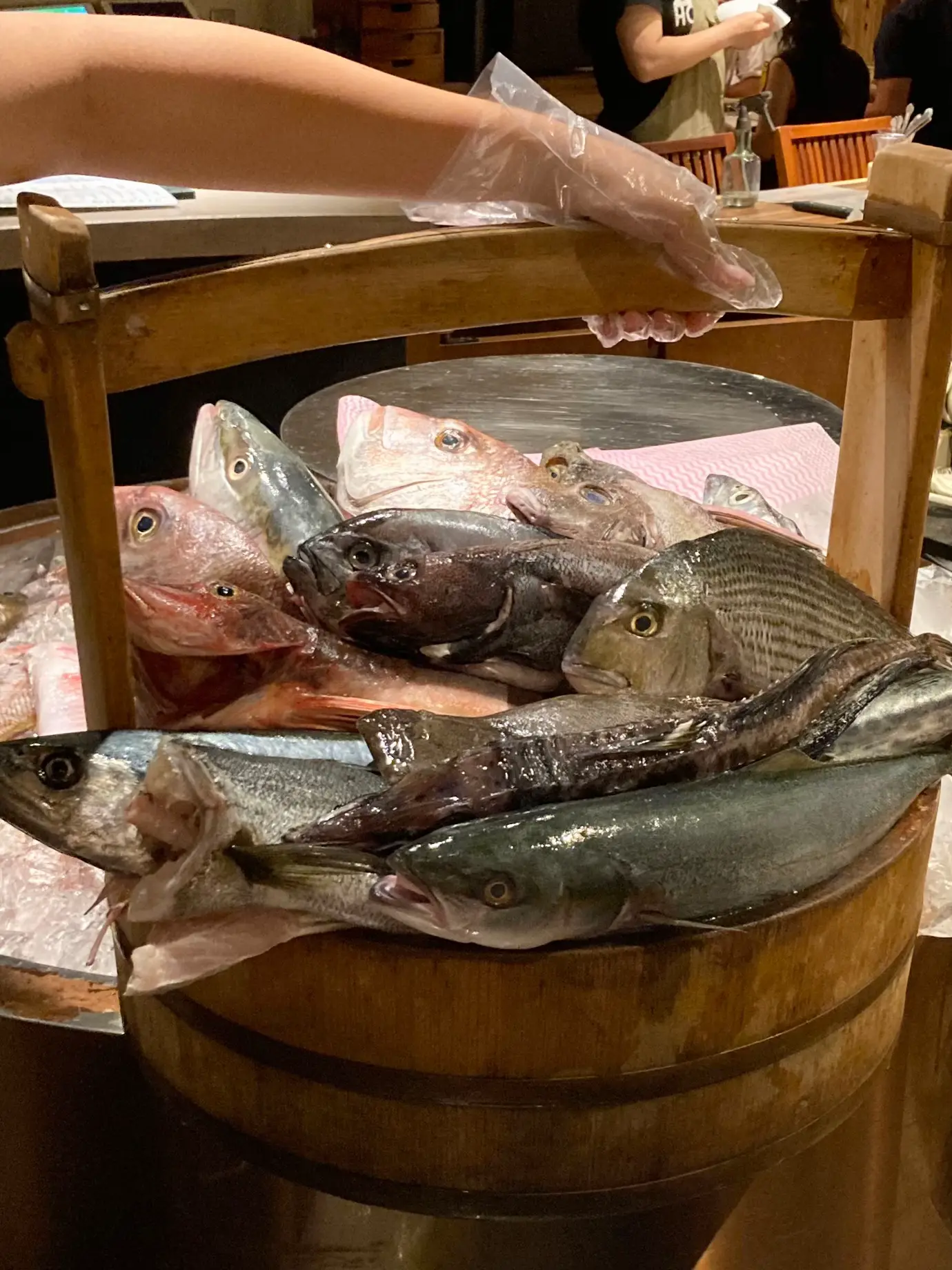 Shinjuku 】 I tried eating a whole fresh fish with Okamochi😳 | Gallery ...