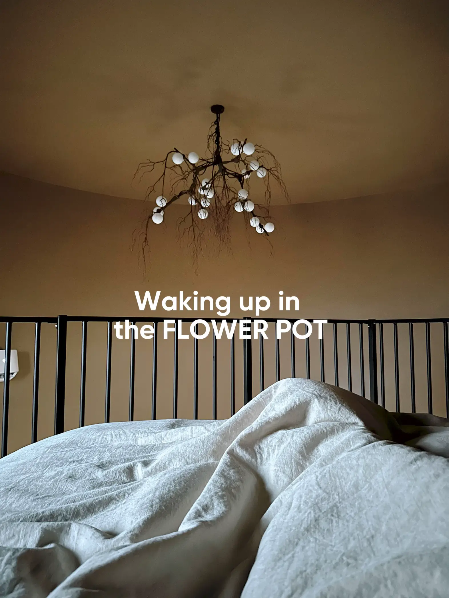 Waking up in the Flower Pot | Gallery posted by Whitney Hansen | Lemon8