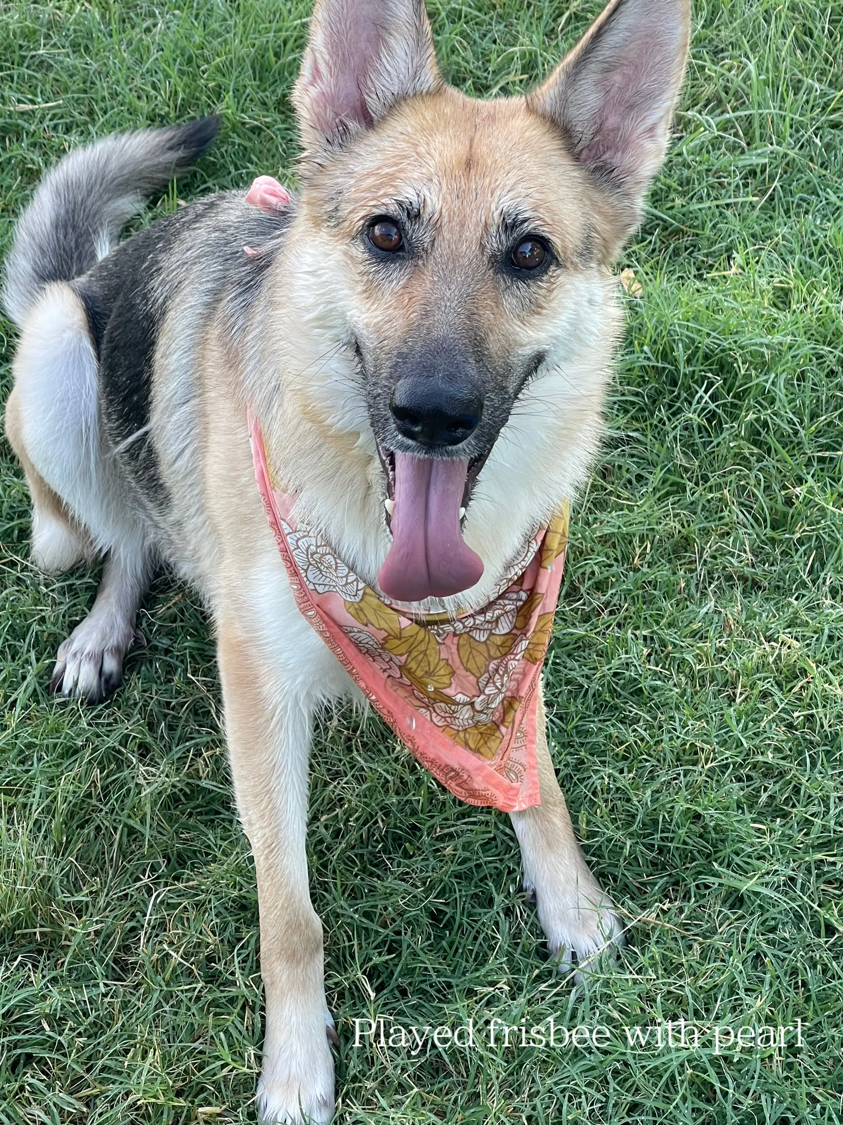 Things I did today | Gallery posted by Loralynne | Lemon8