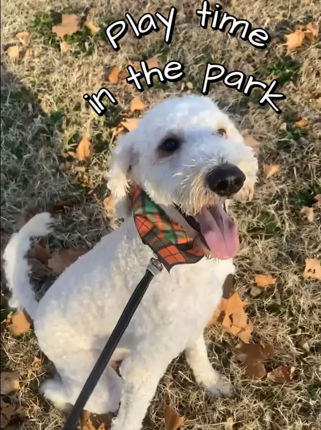 Mental health milestone | Gallery posted by UmbrellaBoi | Lemon8