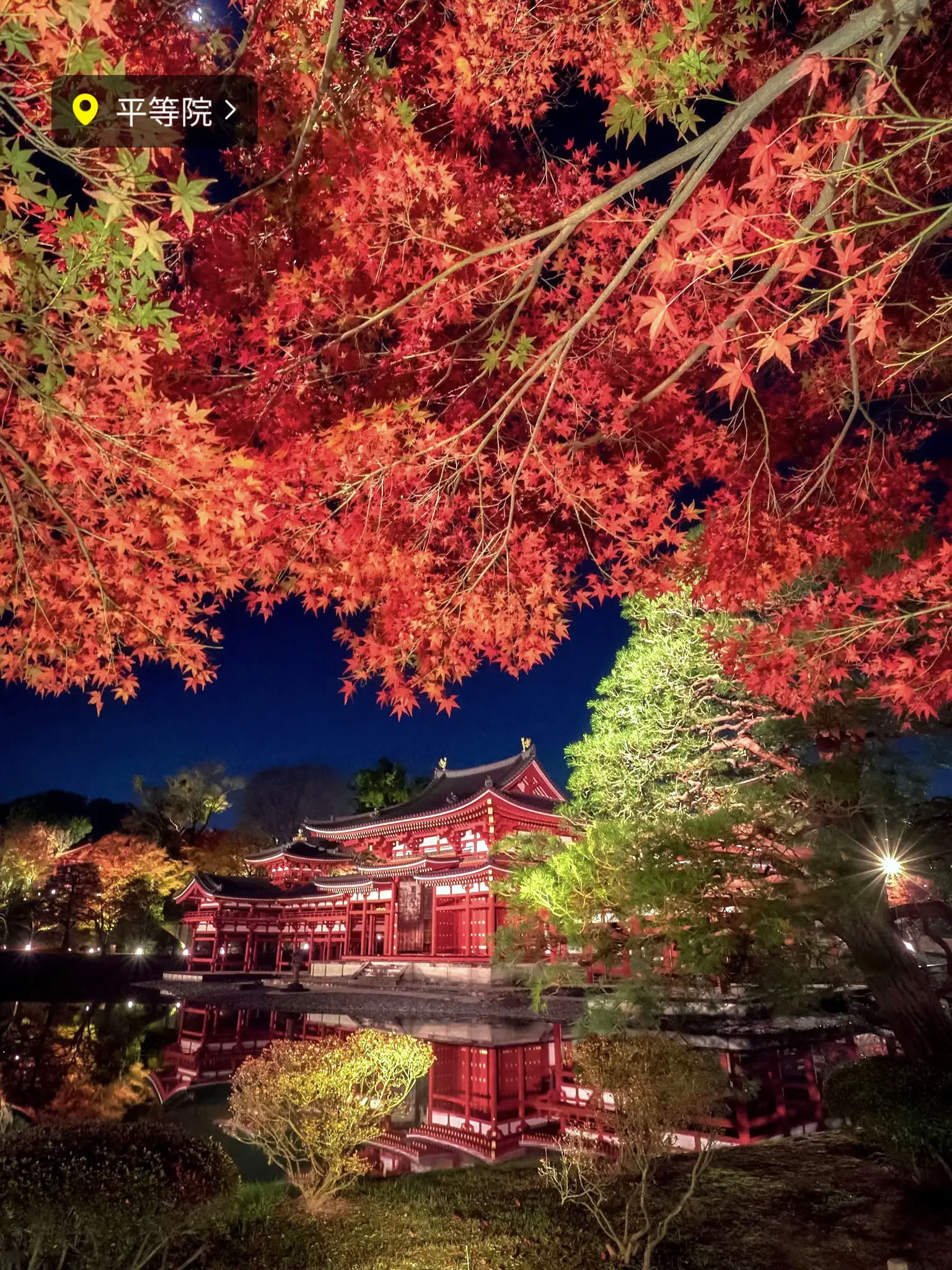 I want to go all! 】 8 Autumn Leaves Light-up Selections in Kyoto ...