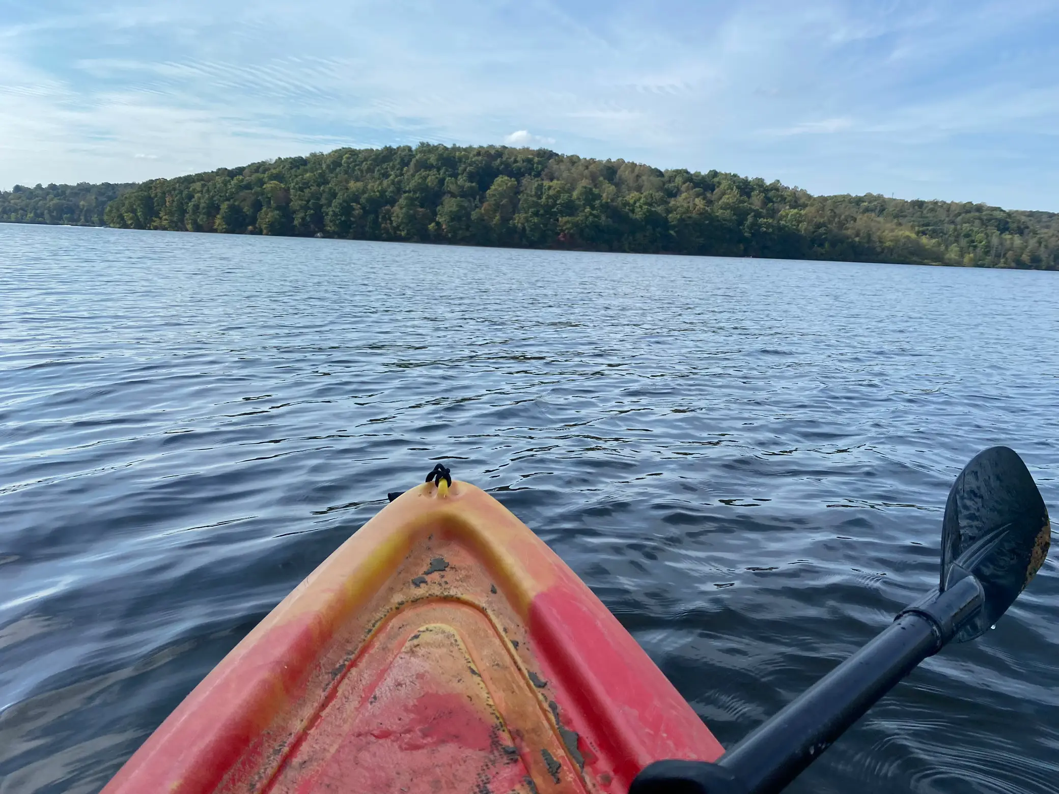 Salt Fork State Park | Gallery posted by Jarvis Journeys | Lemon8