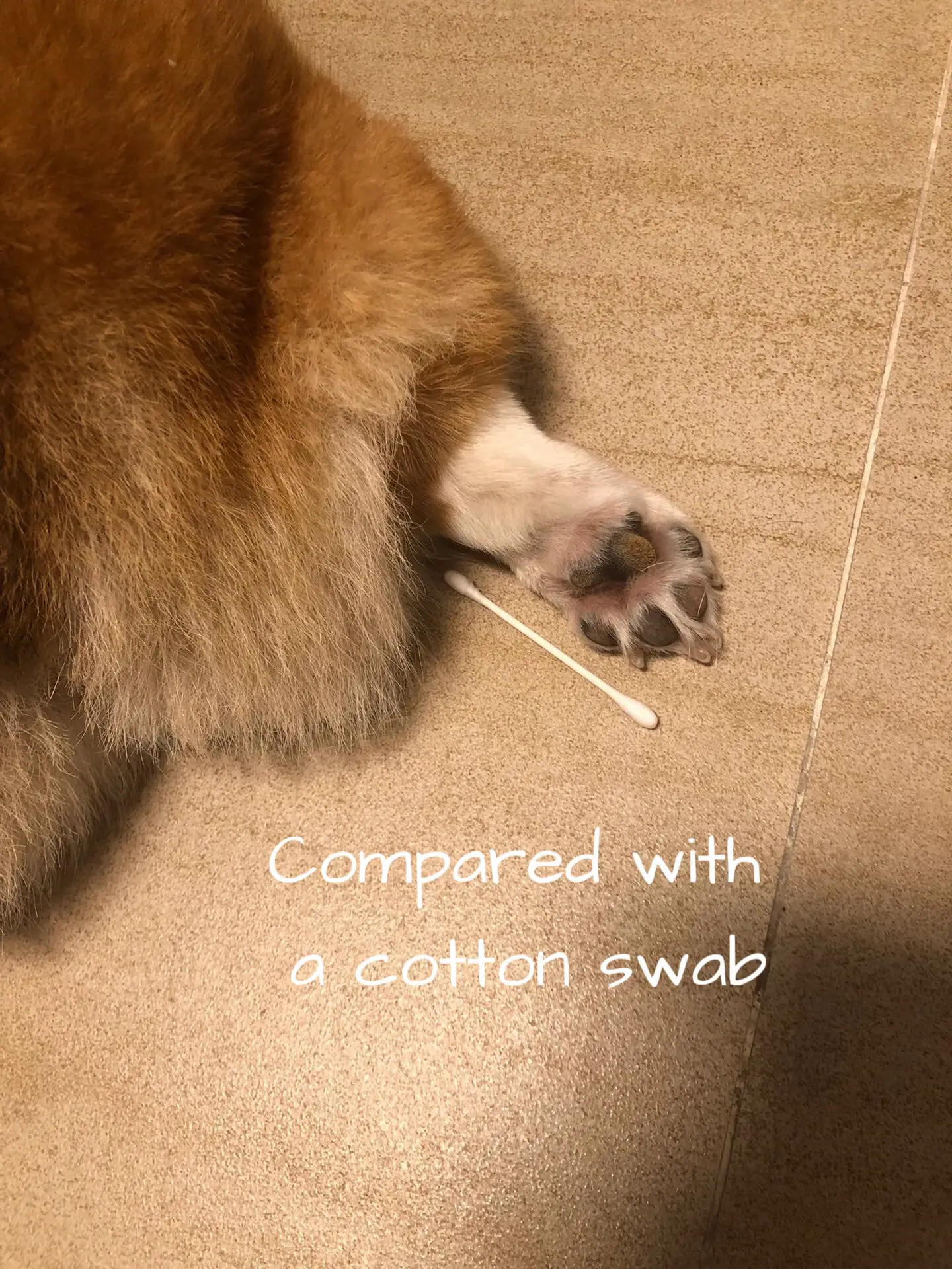 answer - Lemon8 Search