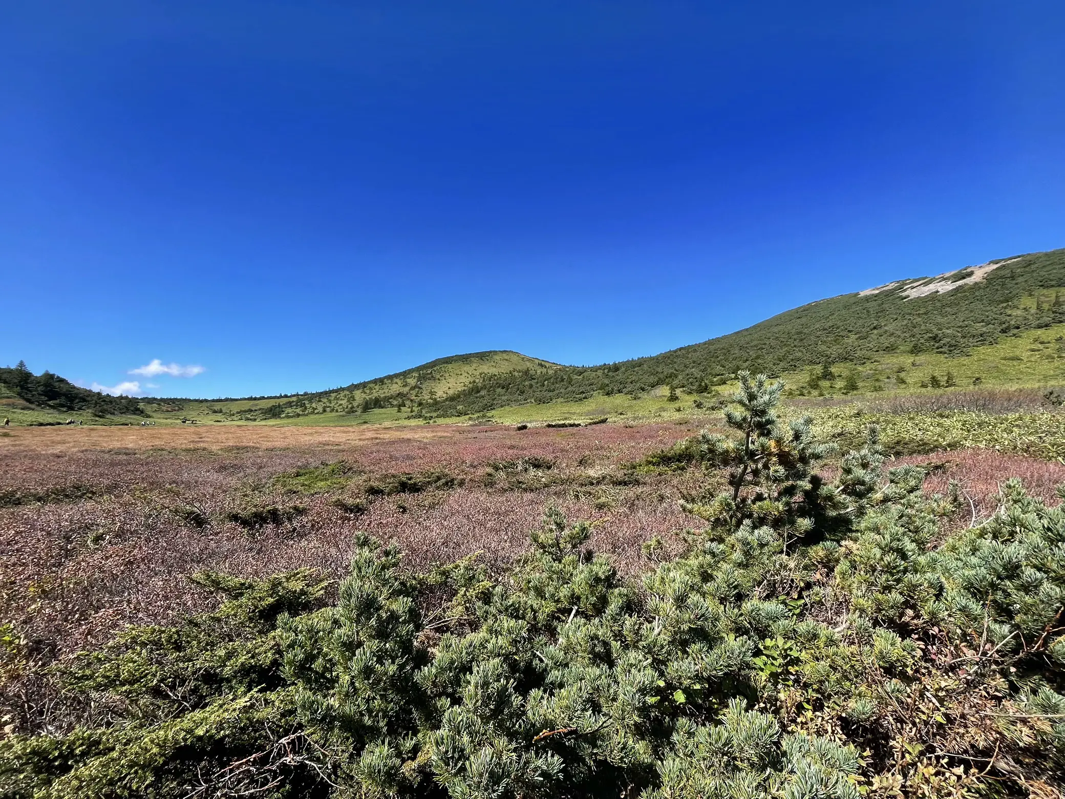 "ภูเขาทั้งหมด" ปีนเขาพ่อแม่ลูก ② | แกลเลอรีที่โพสต์โดย haru | Lemon8