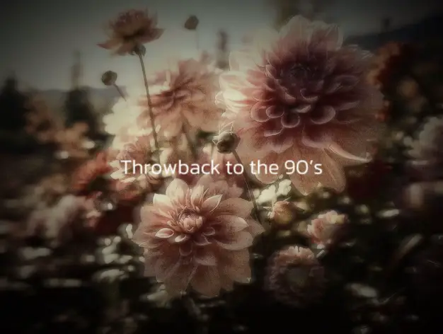 📸 My 90’s Throwbacks ~ | แกลเลอรีที่โพสต์โดย daniisan | Lemon8