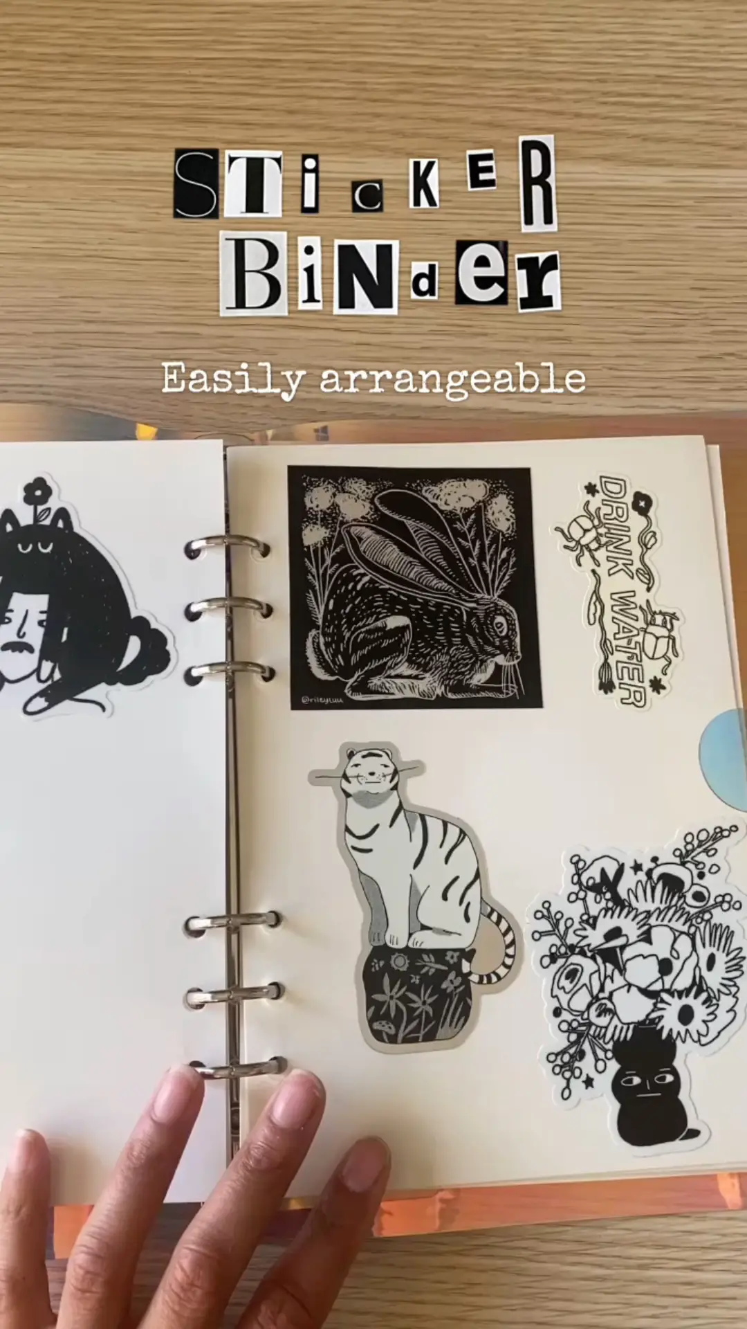 Sticker Binder for Sticker Collector | Video published by Safimade | Lemon8