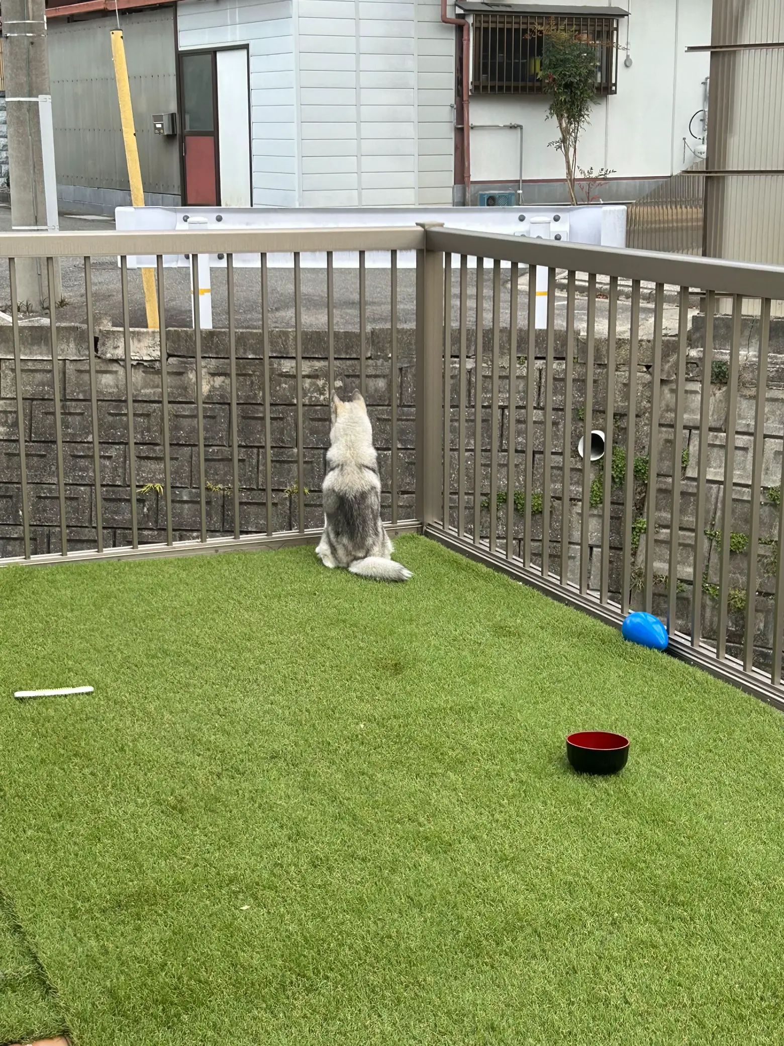 tae.tae โพสต์ผลงานแล้ว ดูและยื | แกลเลอรีที่โพสต์โดย tae tae | Lemon8