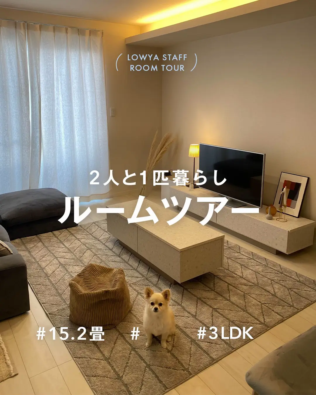 ˗ˏˋROOM TOURˎˊ˗ 15.2畳 3LDK 2人暮らし🐶 | LOWYA(ロウヤ)公式が投稿したフォトブック | Lemon8