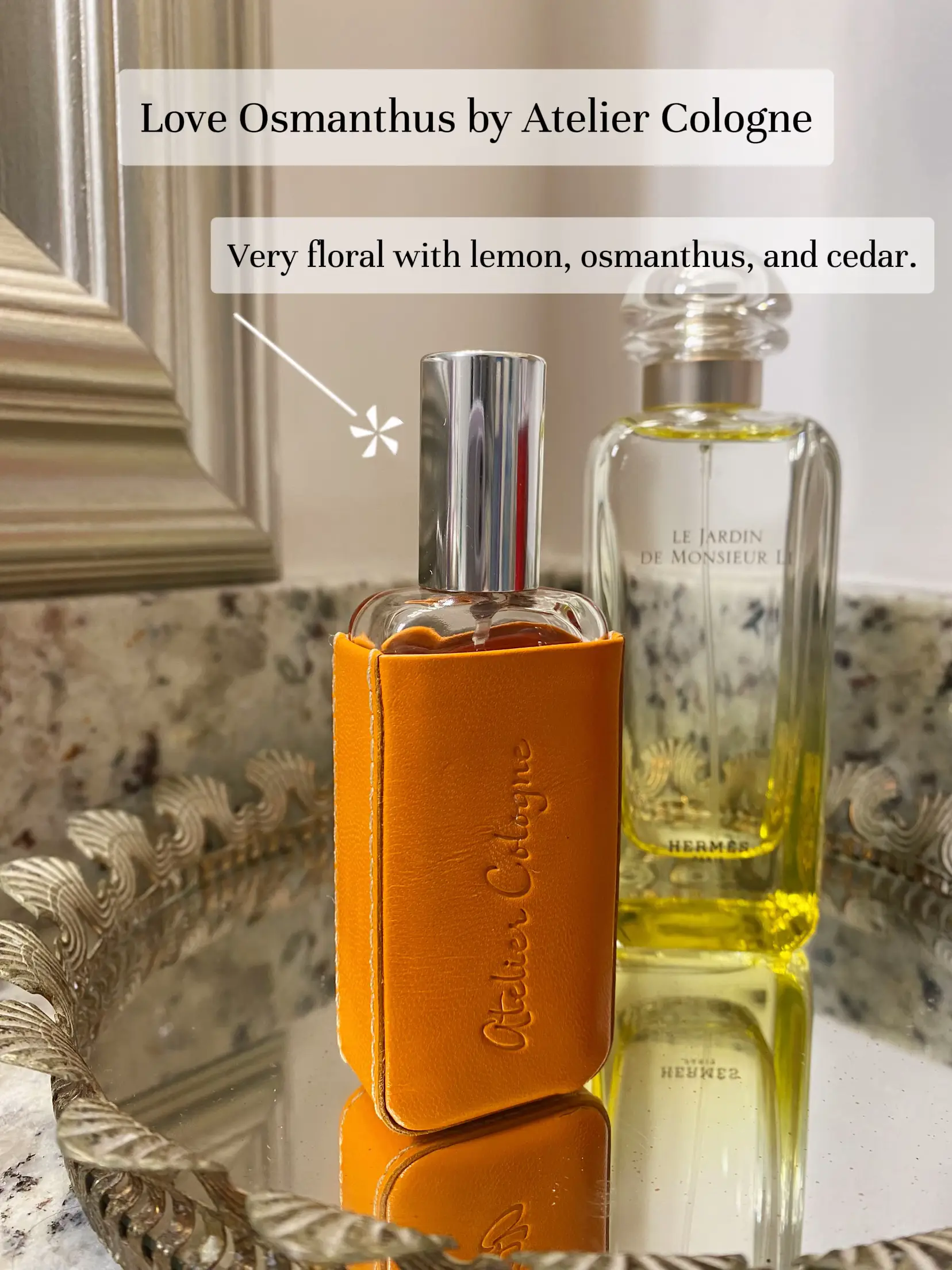🌸New fragrances I added to my collection🌸 | Gallery posted by Meg ...