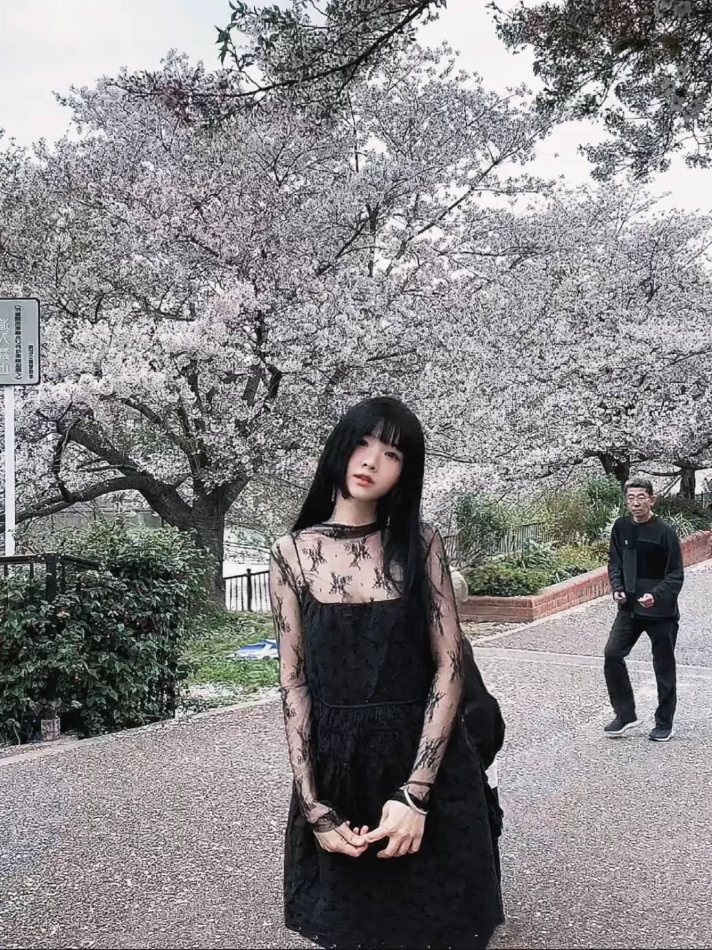 桜🌸～ | fei zhouが投稿したフォトブック | Lemon8