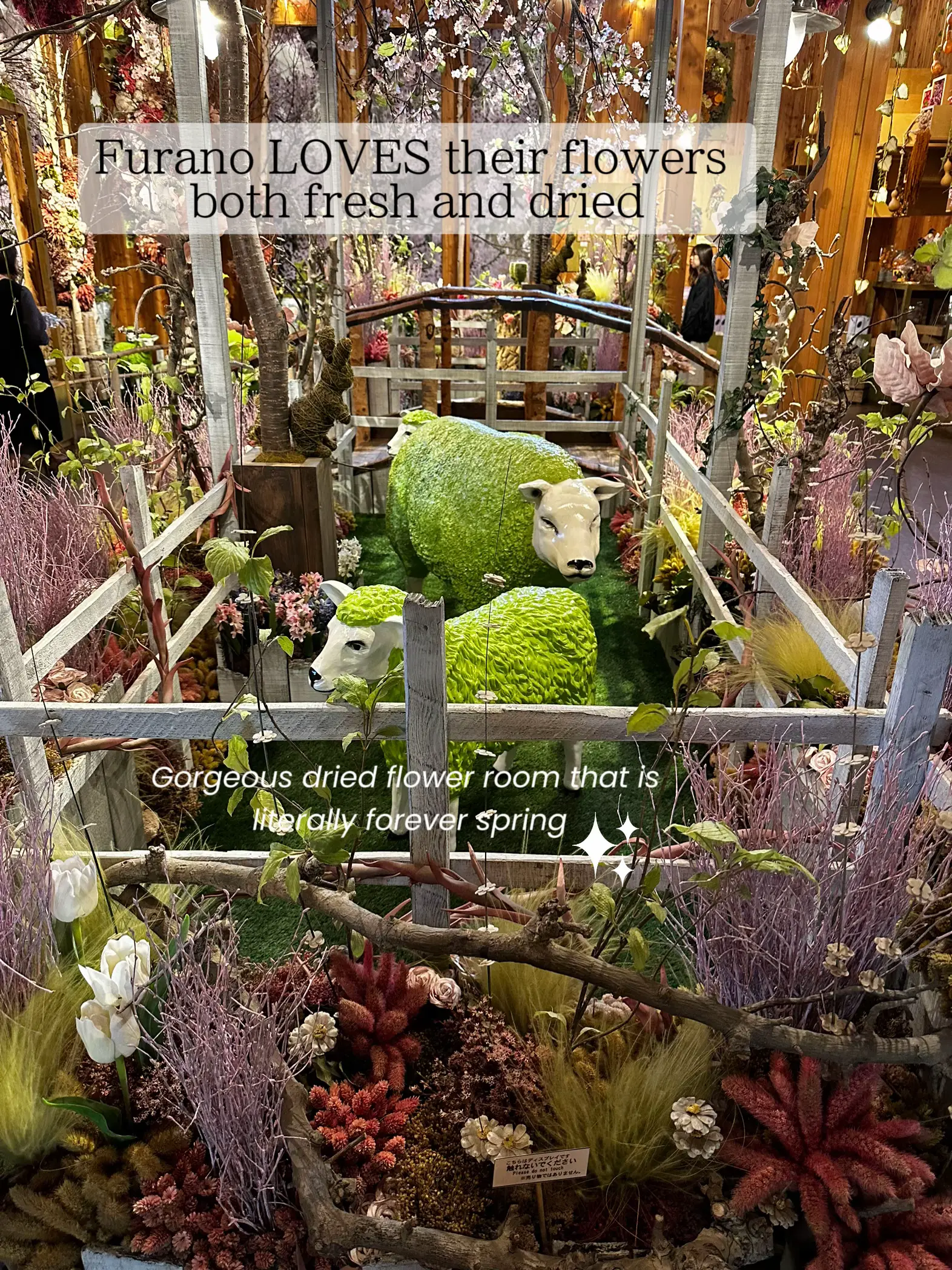 Japan Honeymoon (part 4) | Gallery posted by Alex Probst | Lemon8