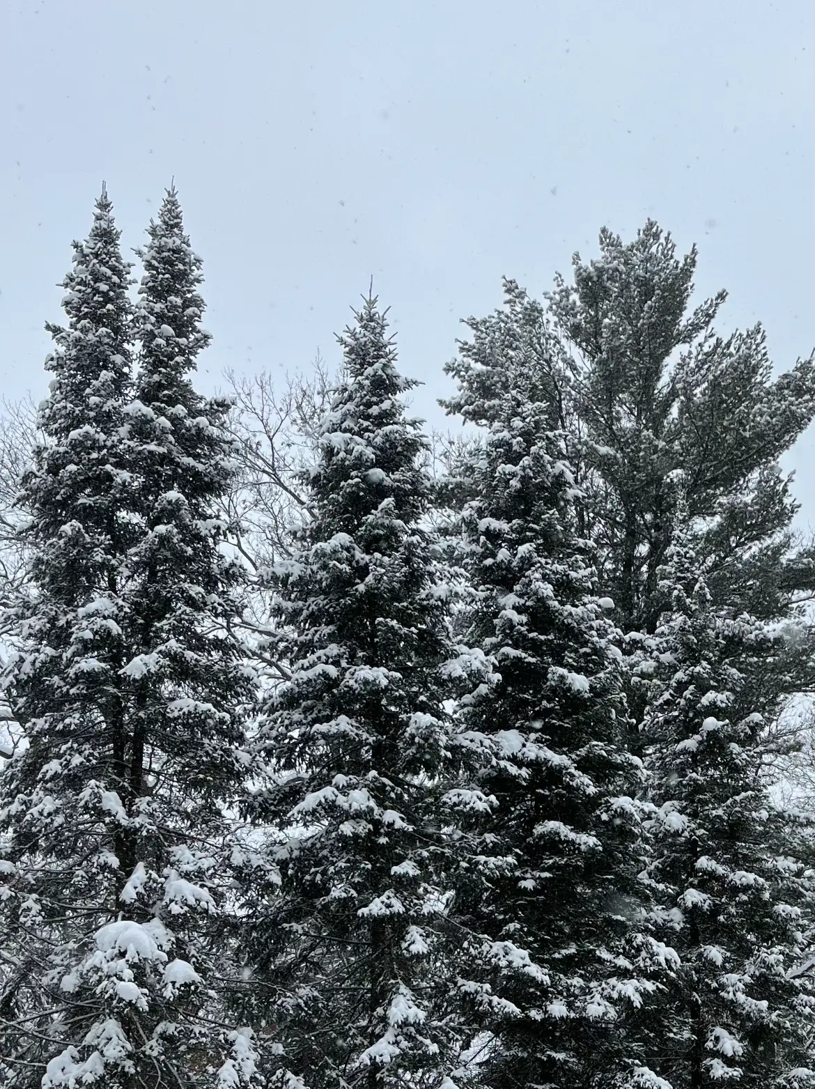 CAMERA ROLL DUMP 📸 | Gallery posted by mir 🧸 | Lemon8