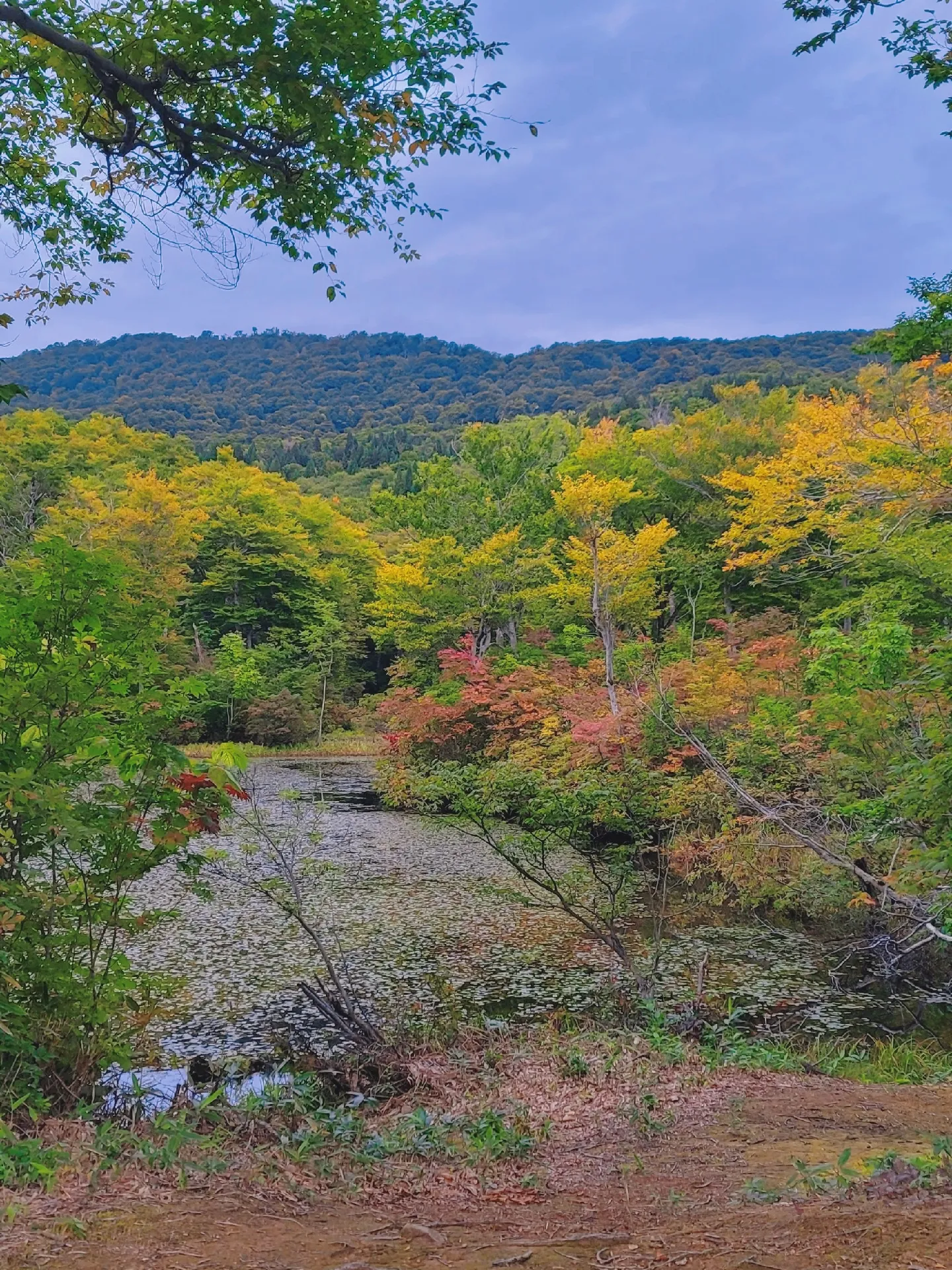 【山形紅葉】月山🍁 R5.10/8 | ももが投稿したフォトブック | Lemon8