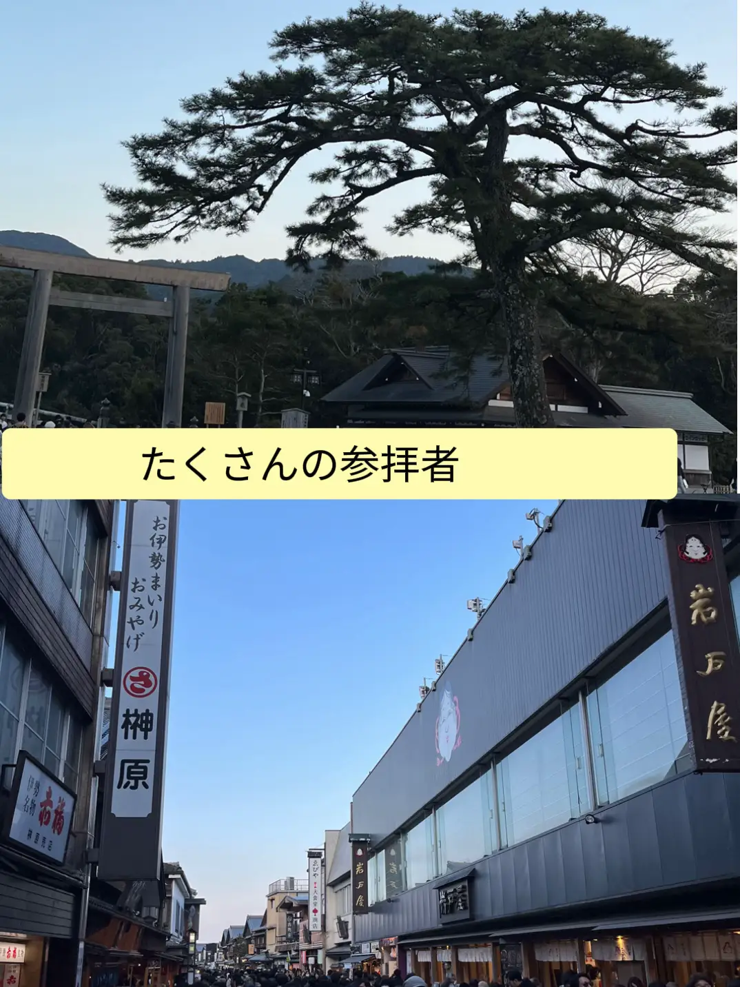 อิเซ | แกลเลอรีที่โพสต์โดย FUN FUN FUN | Lemon8