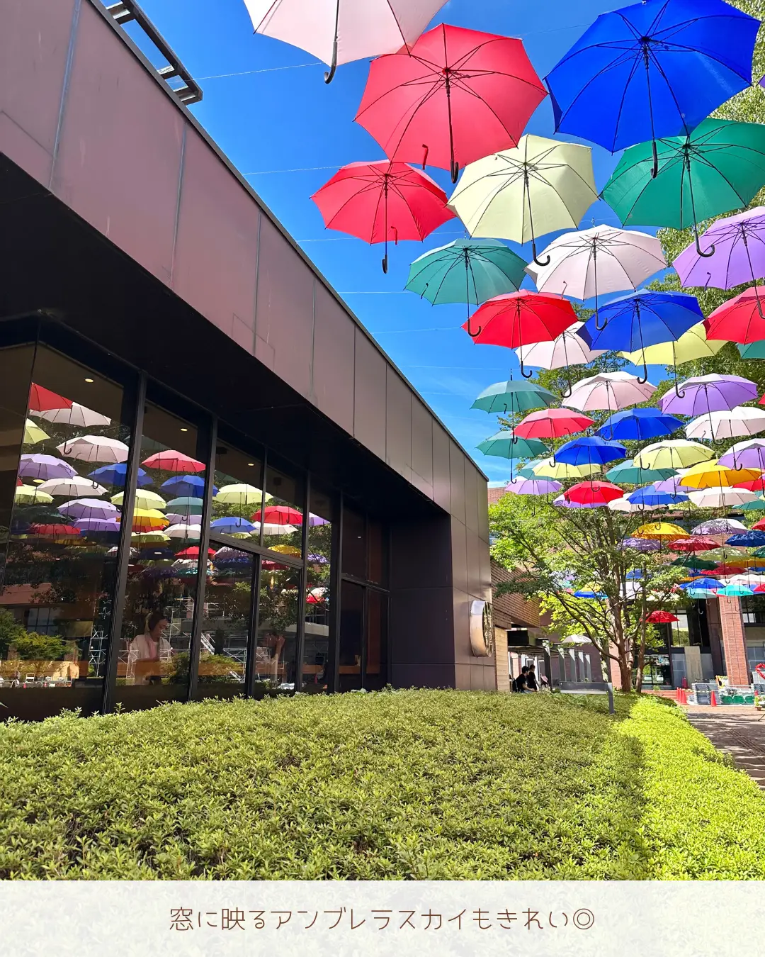 【群馬】フォトジェニックすぎ📷 アンブレラスカイが楽しめるお店☂️ | miii群馬おでかけ&グルメが投稿したフォトブック | Lemon8