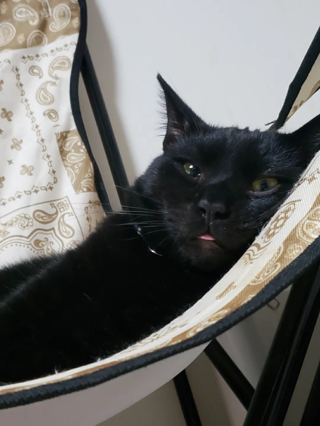 ダラー。 | kanan24が投稿したフォトブック | Lemon8