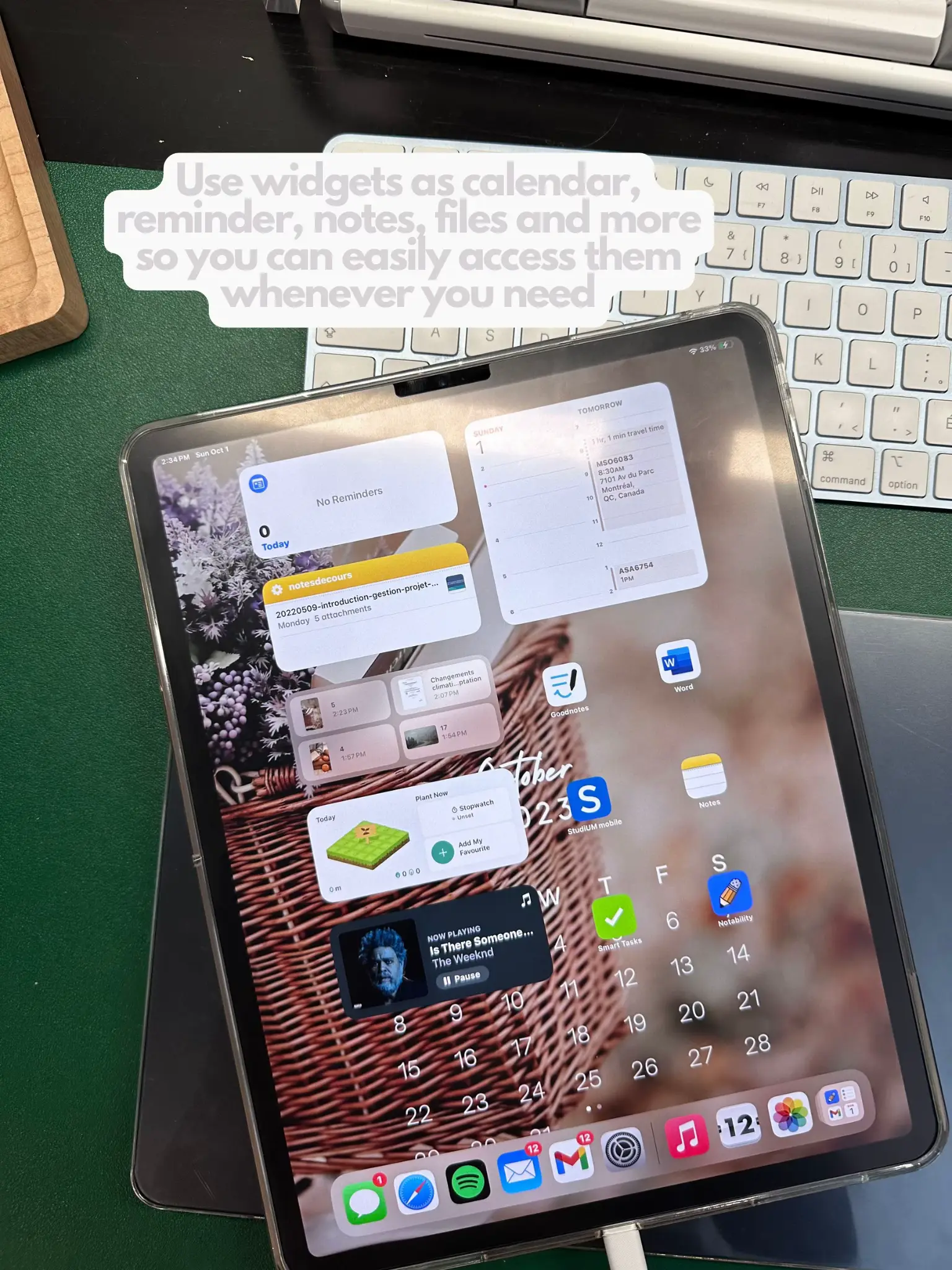 Increase your productivity with iPadOS17 widgets 🫶 | แกลเลอรีที่โพสต์โดย emmaa studies 🍃 | Lemon8