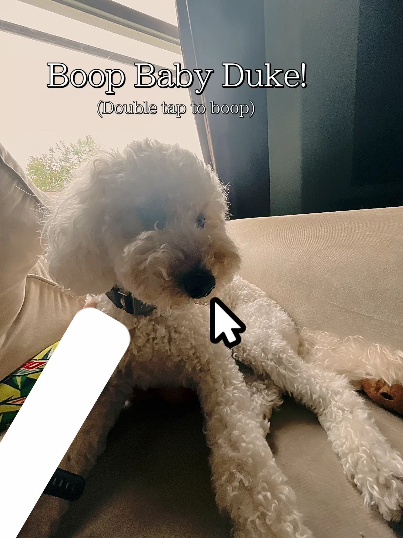 Boop Baby Duke! | Gallery posted by Jakeee 🍋 | Lemon8
