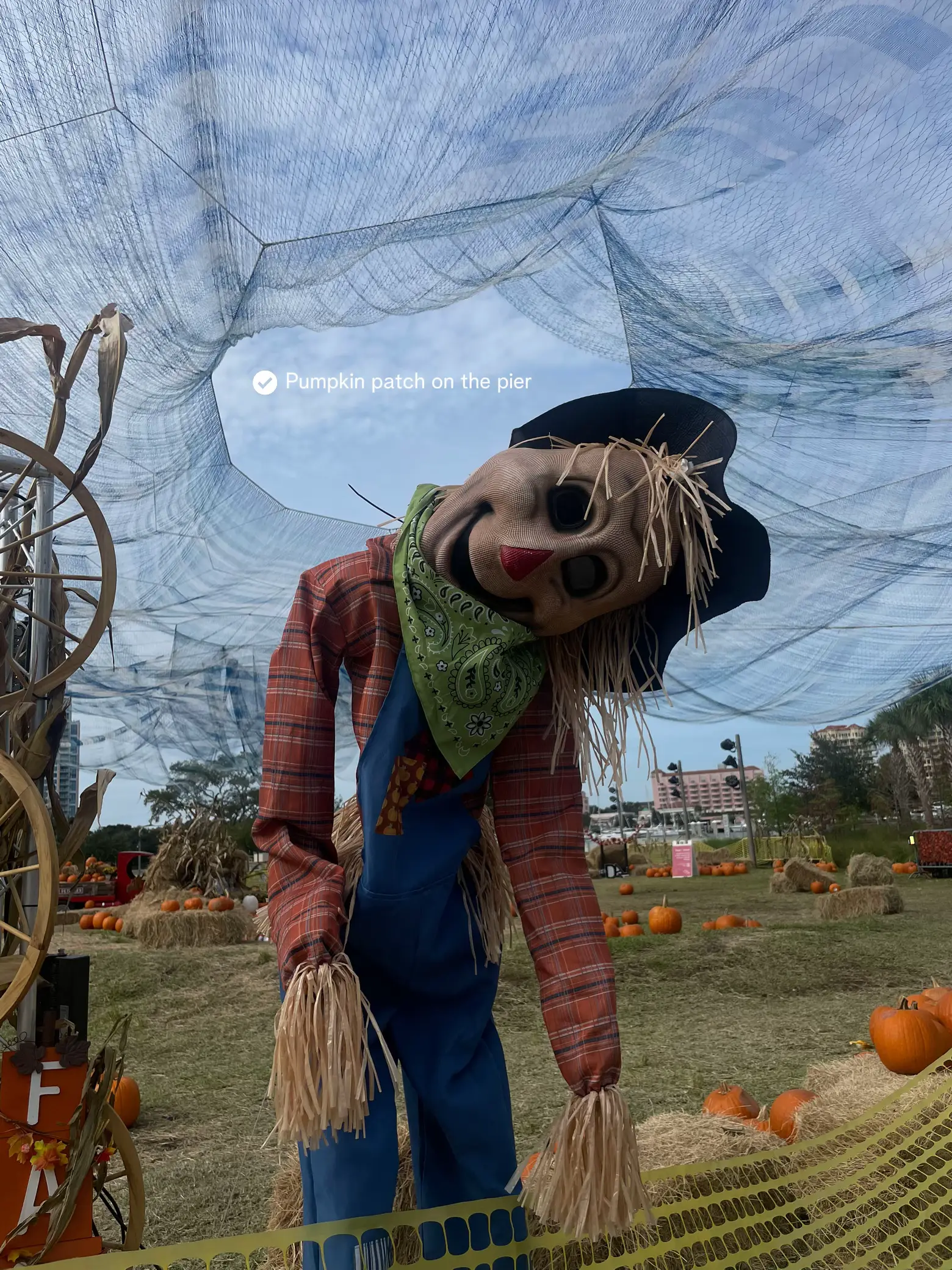 Weekend Recap | Gallery posted by Sam | Lemon8