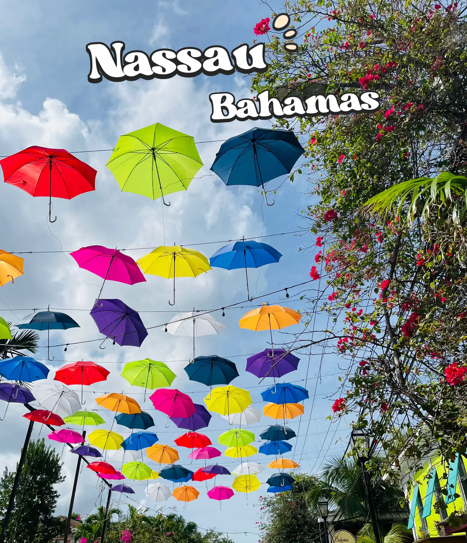 Bahamas | Gallery posted by Mchphotography | Lemon8