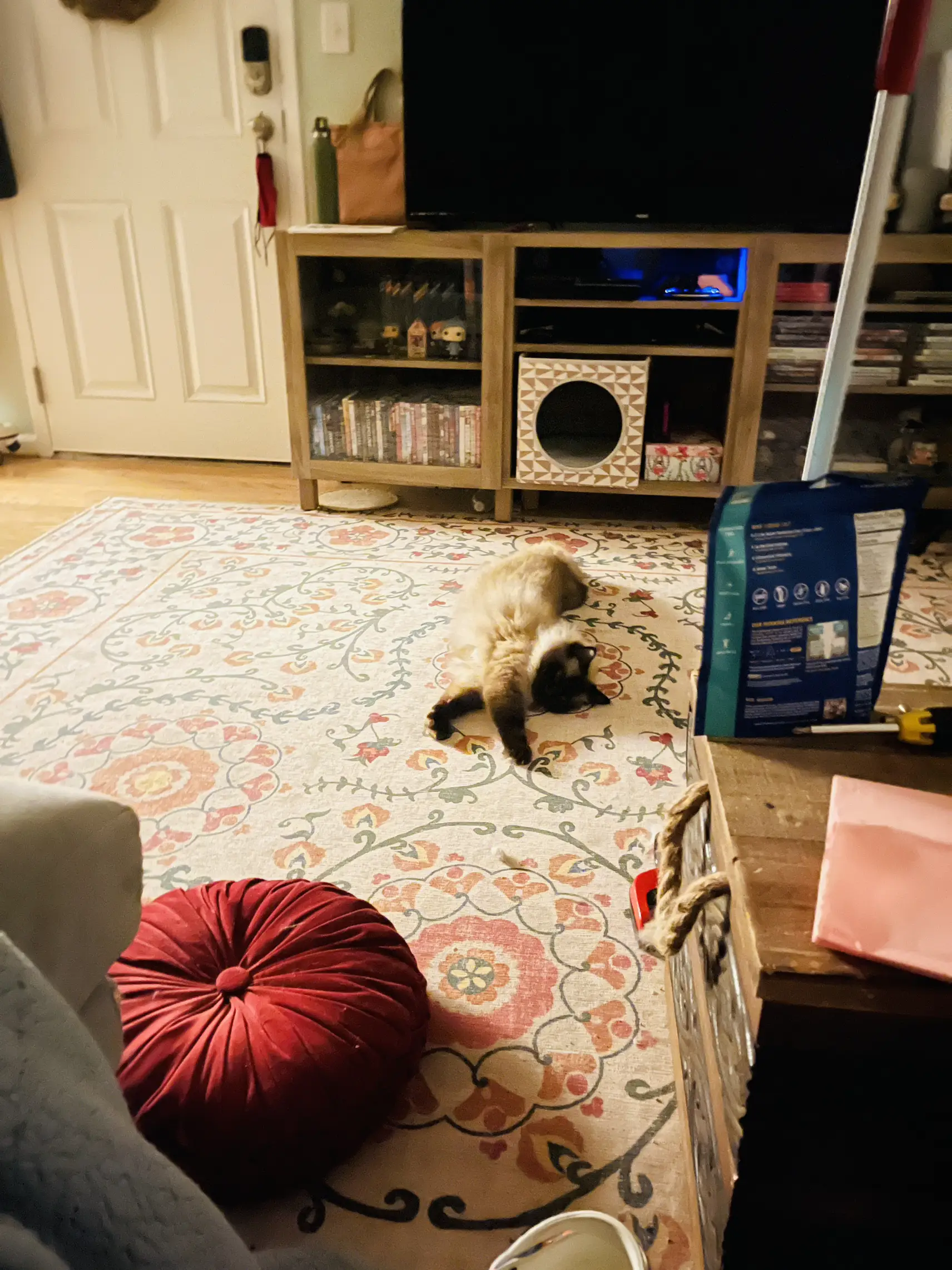 Meet Hades!! | Gallery posted by Trice Smith | Lemon8