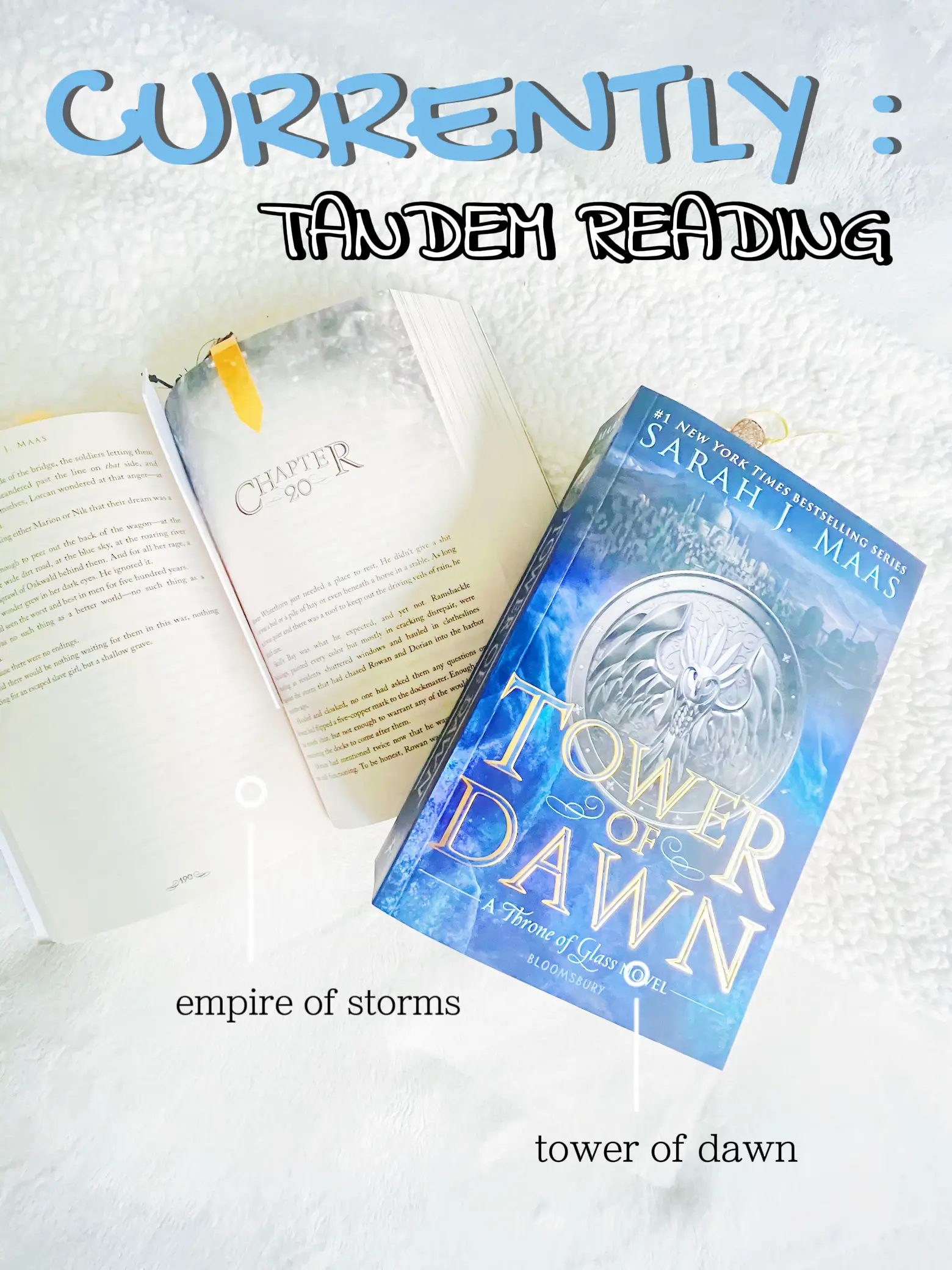 CURRENTLY READING : TOG TANDEM READ 🧚🐲🧝‍♀️ | Gallery posted by emily 💐 ...