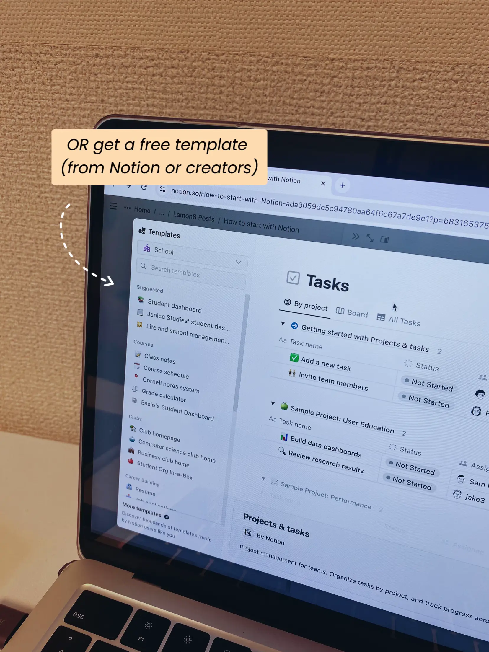 How to get started with Notion 🫶 | Gallery posted by Mindstudyio | Lemon8