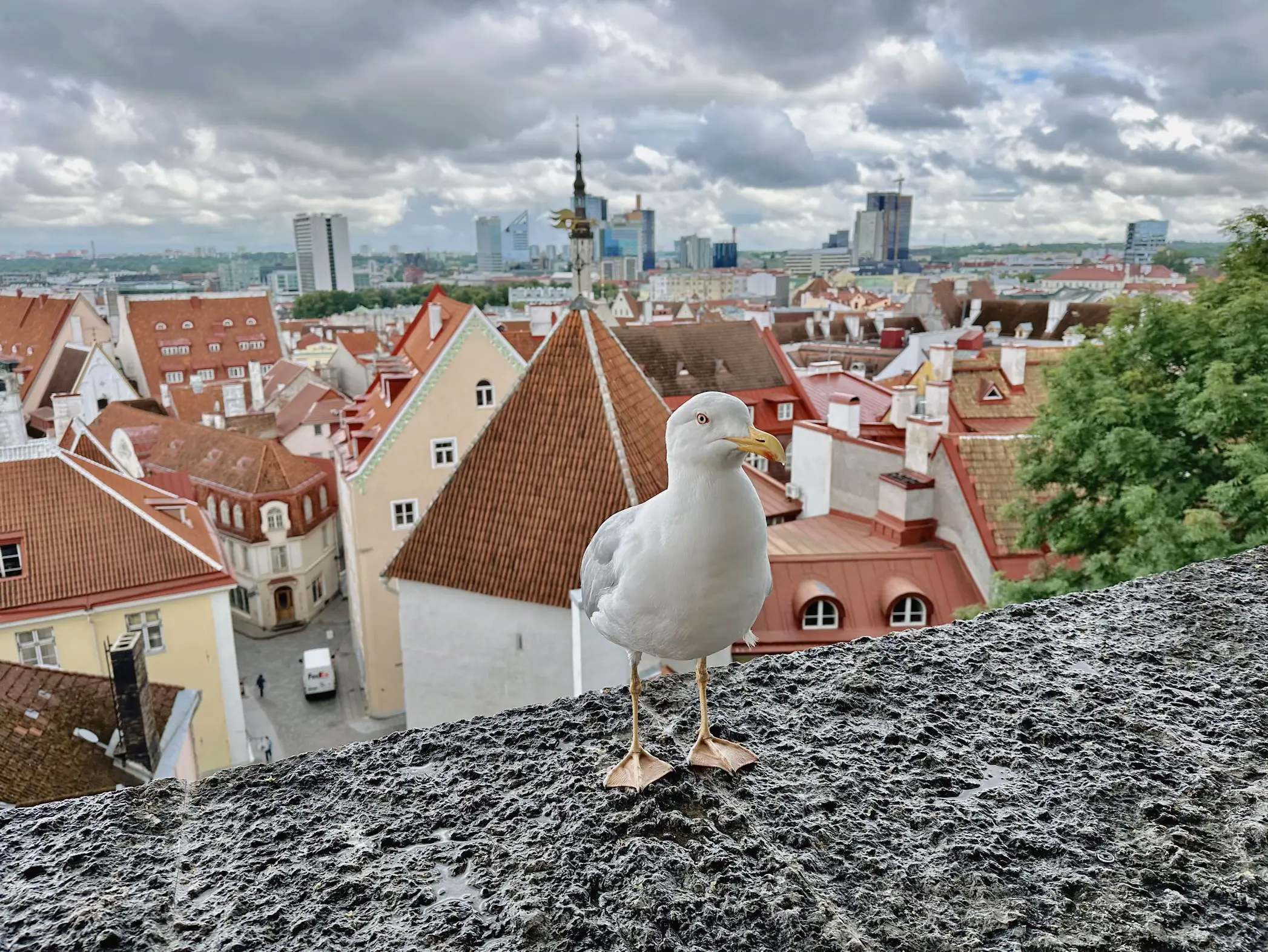 【エストニア】 世界遺産:タリン歴史地区 城壁に囲まれた中世 | makaji旅 ︎が投稿したフォトブック | Lemon8