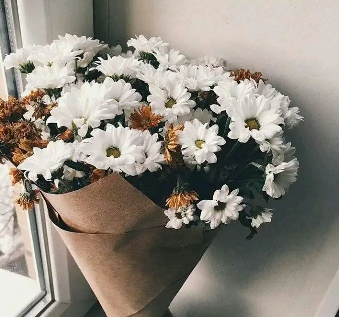 Be a FLOWER | Gallery posted by Joyful Porschea | Lemon8