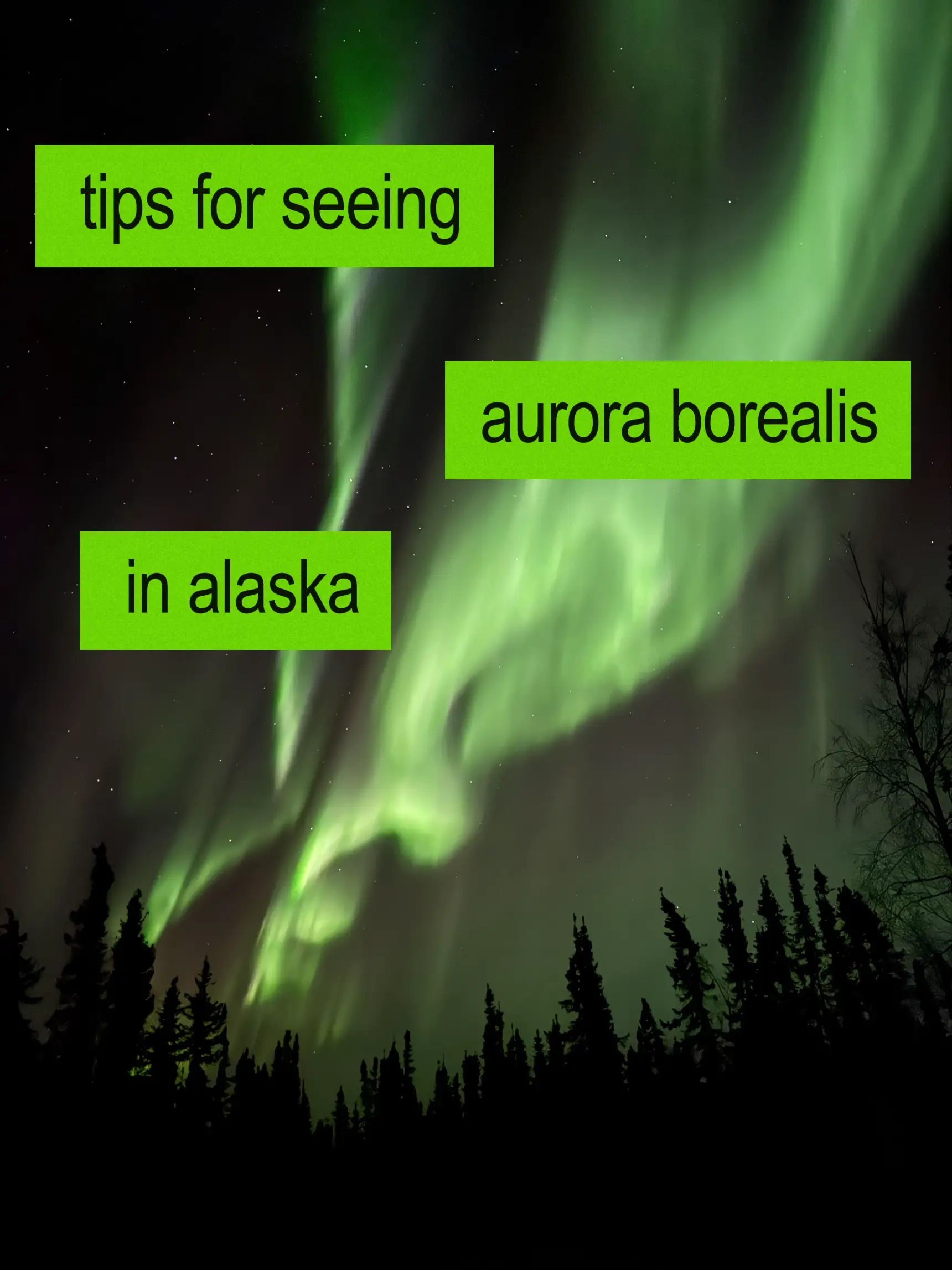 Discover The Magic of The Aurora Borealis in Alaska | 2024 real user ...