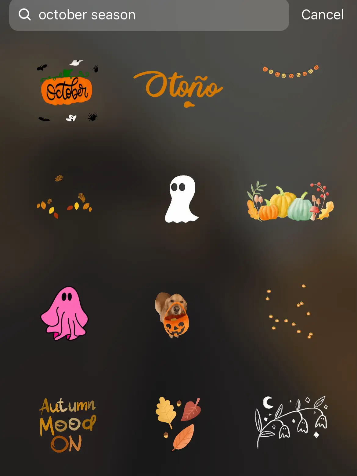 Halloween Instagram Story Gifs 💀🎃 | Gallery posted by Holly | Lemon8