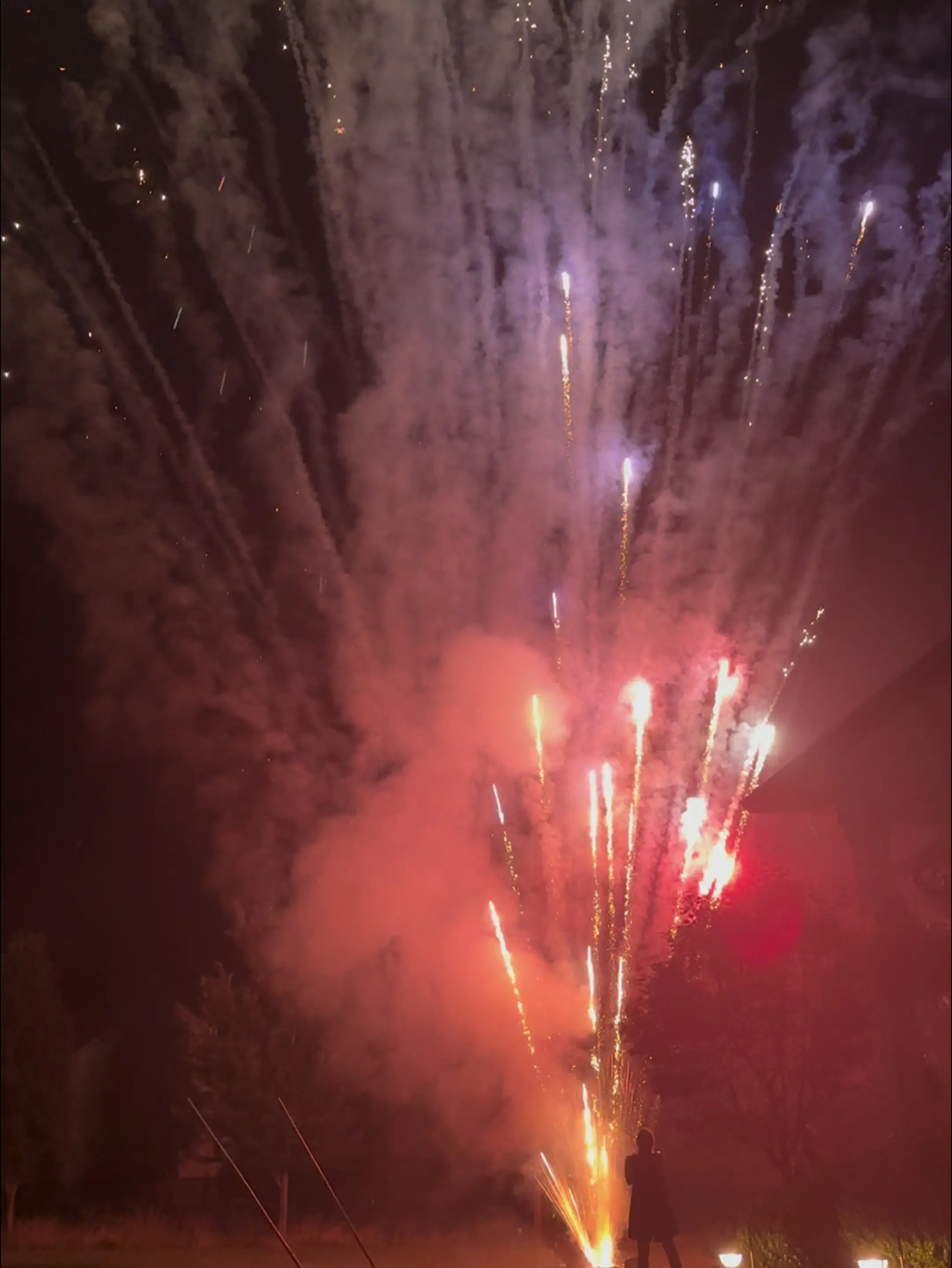 Fireworks | Video published by Emily Young | Lemon8