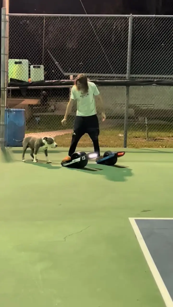 Best friend for life 🐾 | Video published by Life of Pets | Lemon8