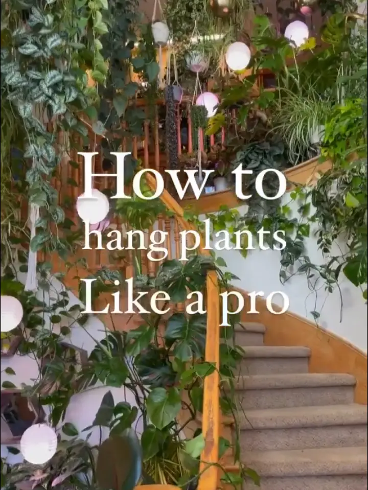 How we create those cascading plant displays 🪴 | Video published by ...
