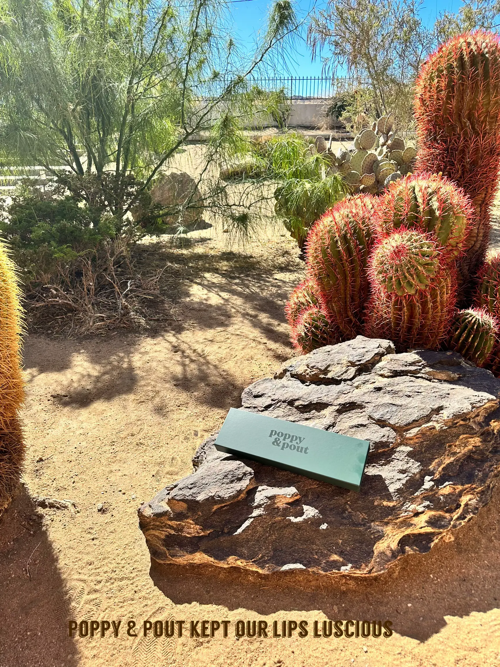 My first Brand trip 😌🌴 | Gallery posted by Jeannette | Lemon8