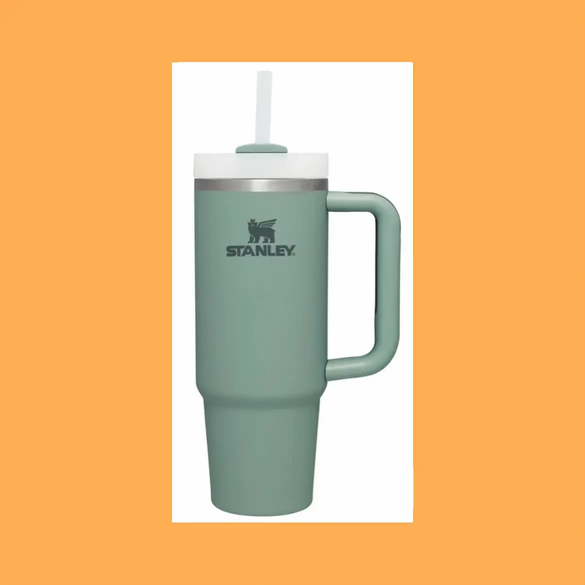 WHICH COLOR STANLEY SHOULD I GET? | Gallery posted by digital diary ...