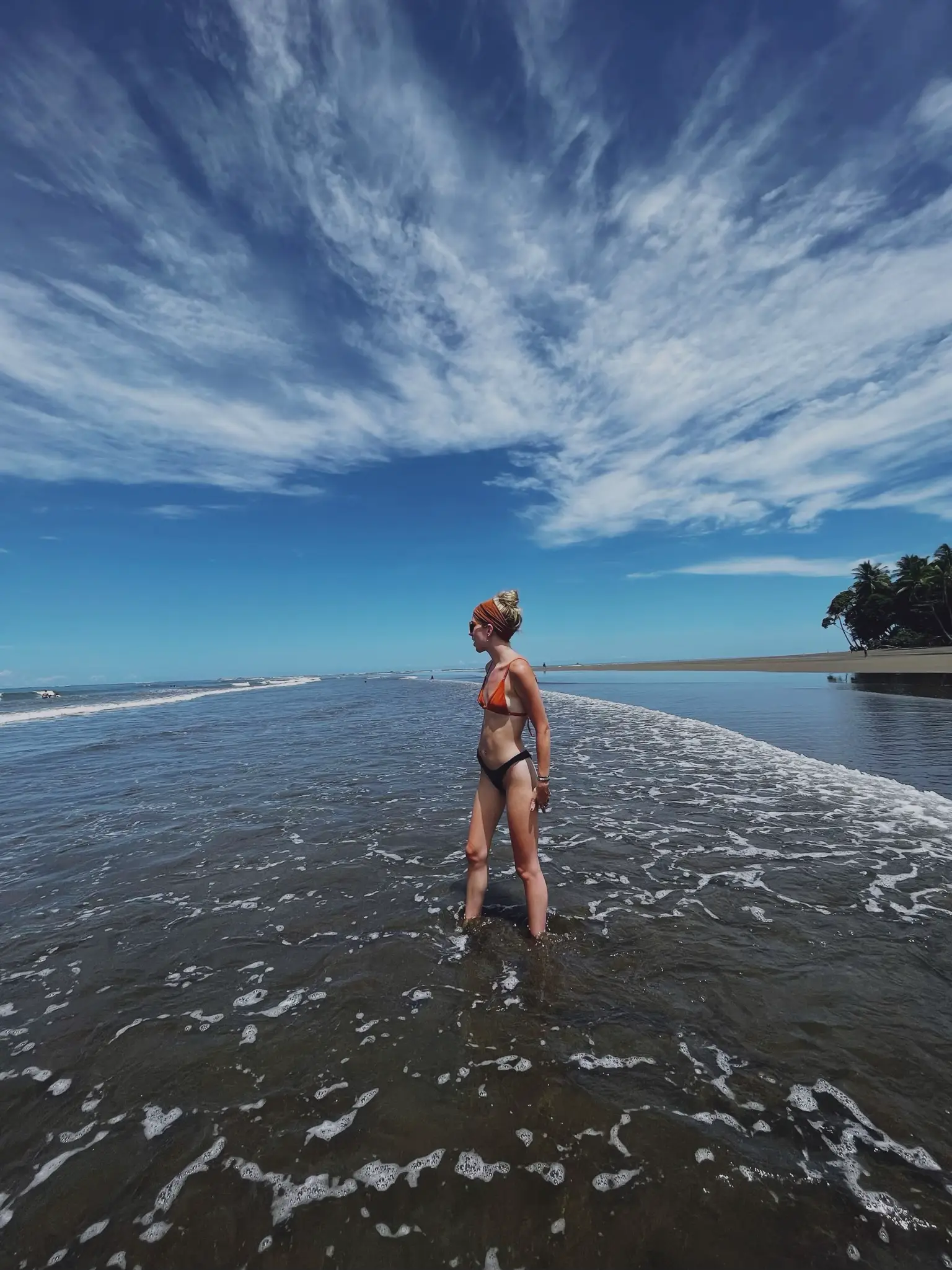 isabelkernan posted a contribu | Gallery posted by Isa | Lemon8