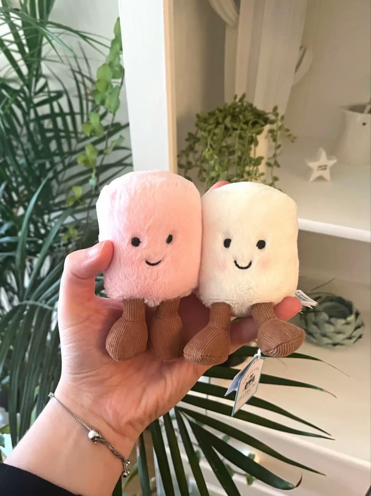 matching jelly cats! (duos) | Gallery posted by chloe | Lemon8