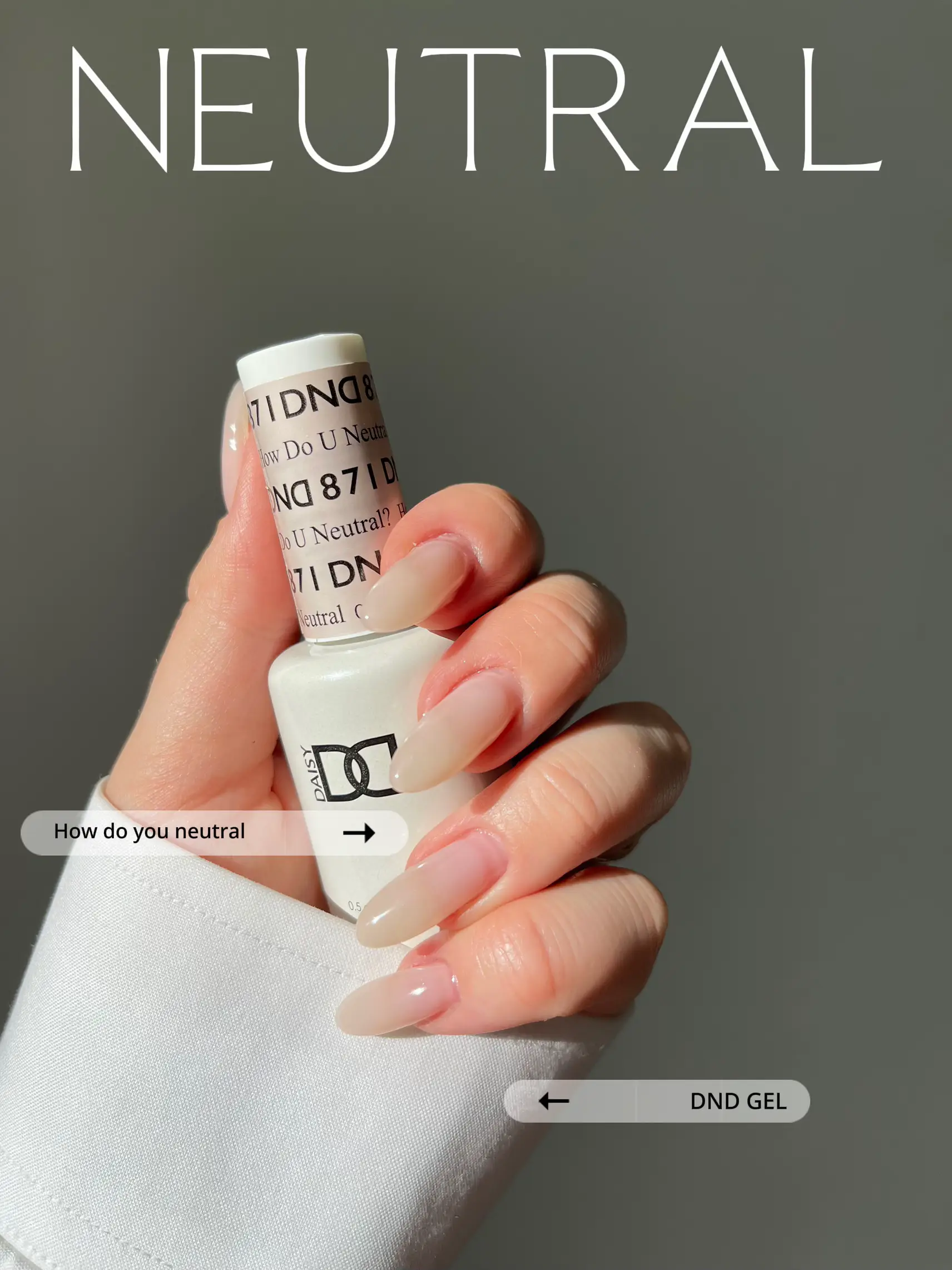 dndcosplay - Lemon8 Search