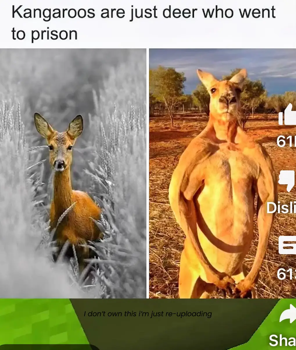 I do not own this i’m just re- | Gallery posted by PiperLex1023115 | Lemon8